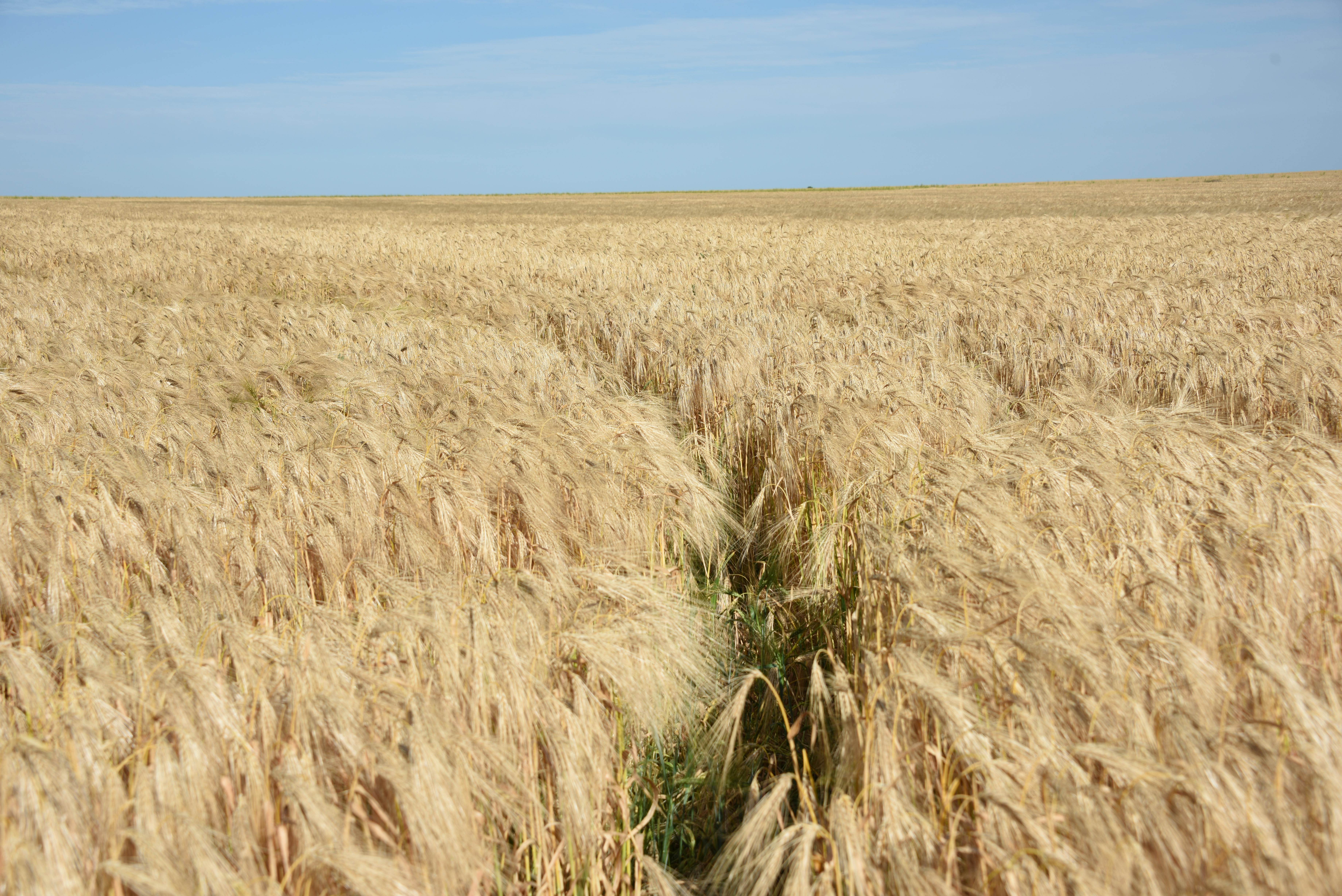 Dayday+Space+Medium Photos, Download The BEST Free Dayday+Space+Medium Stock Photos & HD Images