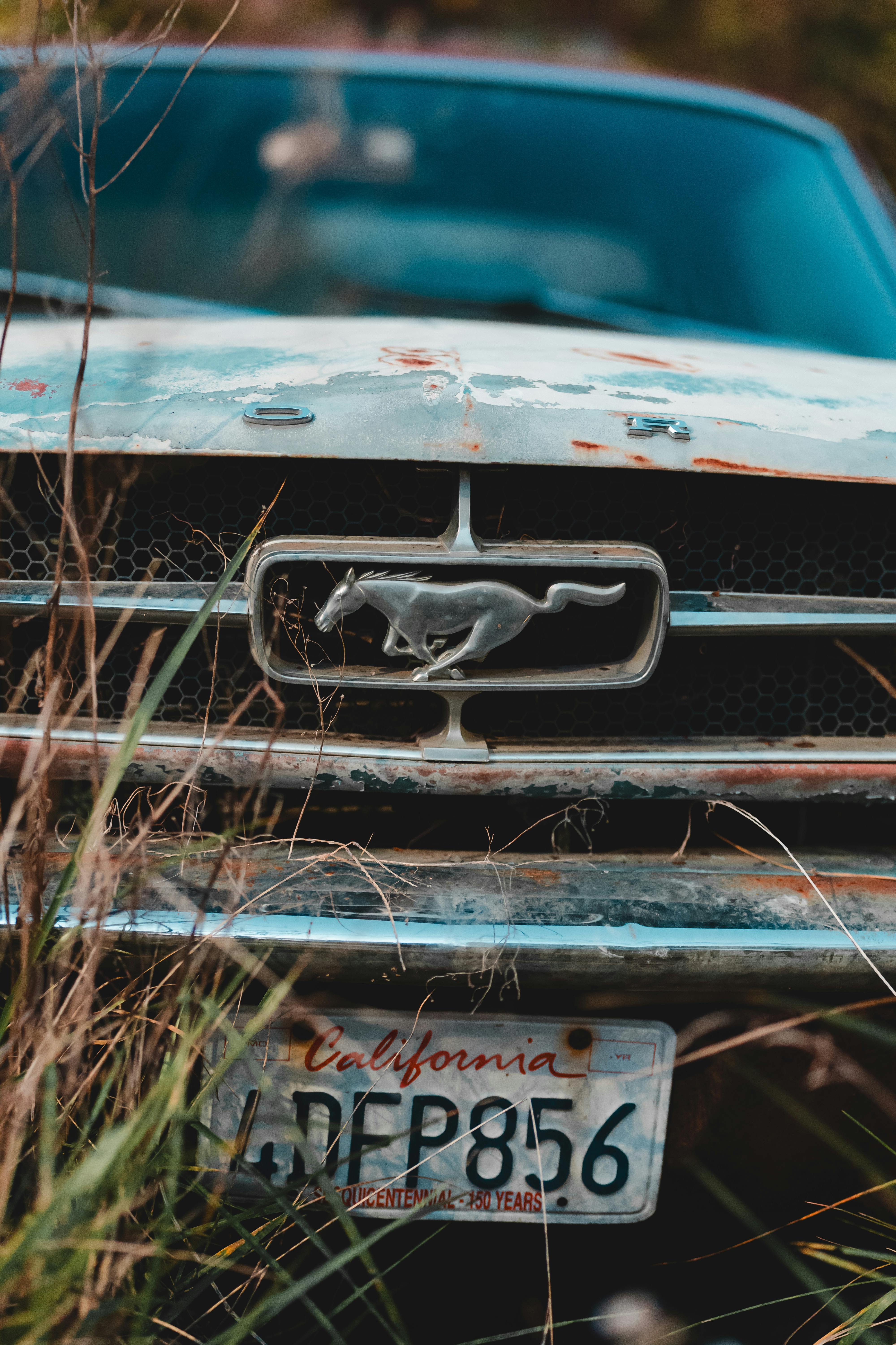Vintage Rusty Mustang Front View with Grass · Free Stock Photo