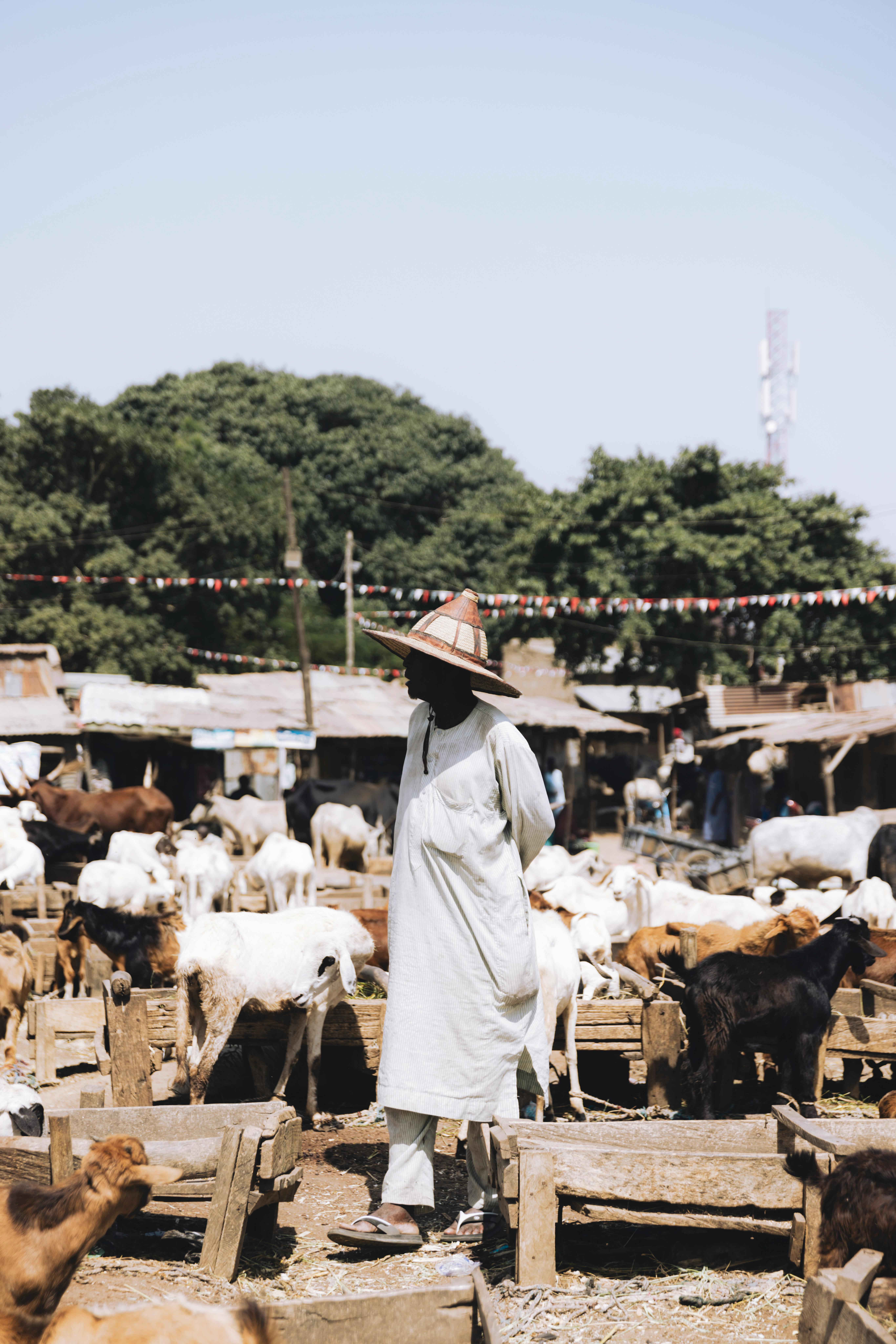 Subsistence Farming Photos, Download The BEST Free Subsistence Farming ...