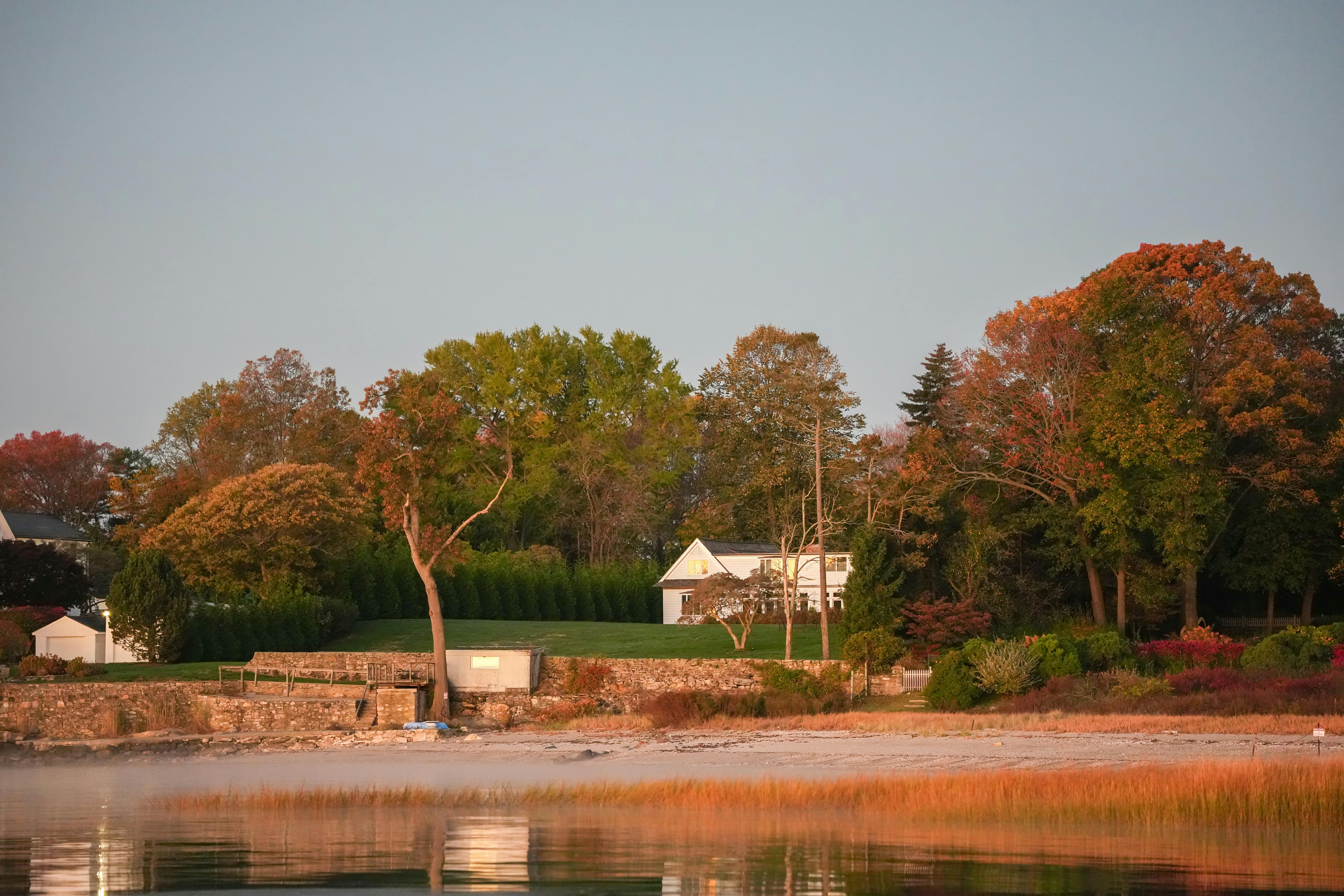 Le 100.000+ migliori foto di List-of-american-pornographic-film-actors ...