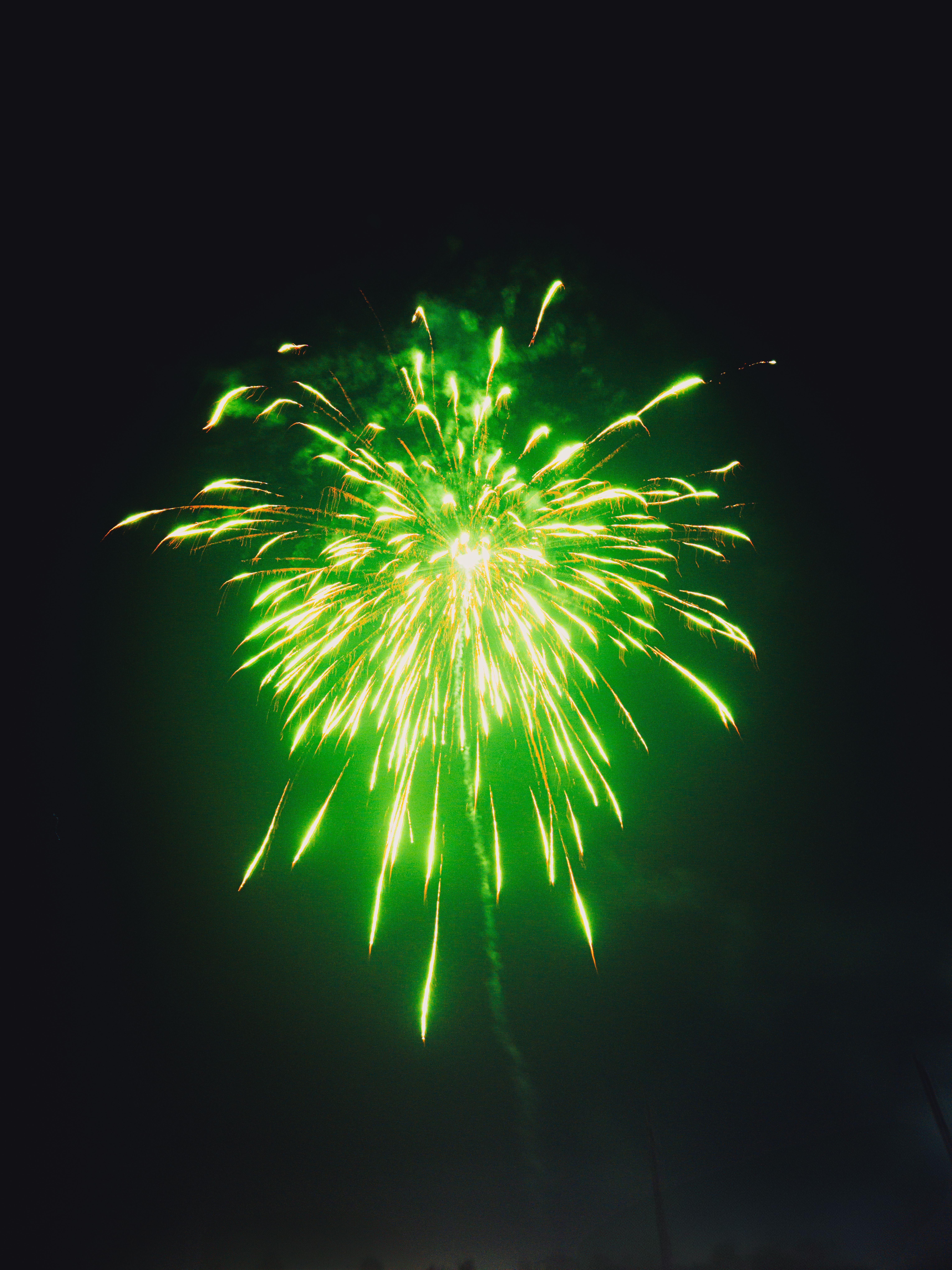Vibrant Green Firework Burst in Night Sky · Free Stock Photo