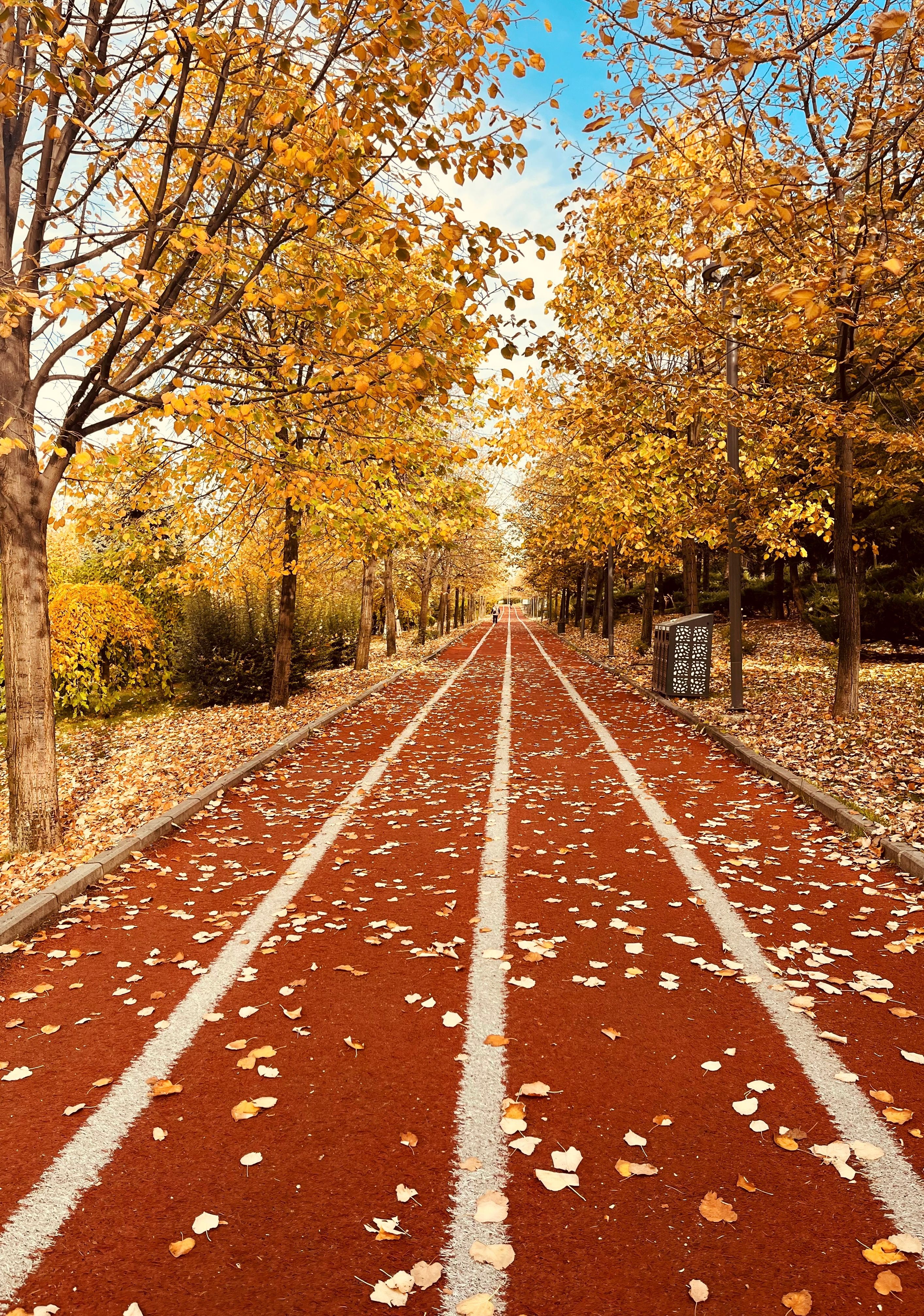 Scenic Autumn Pathway in the Park · Free Stock Photo