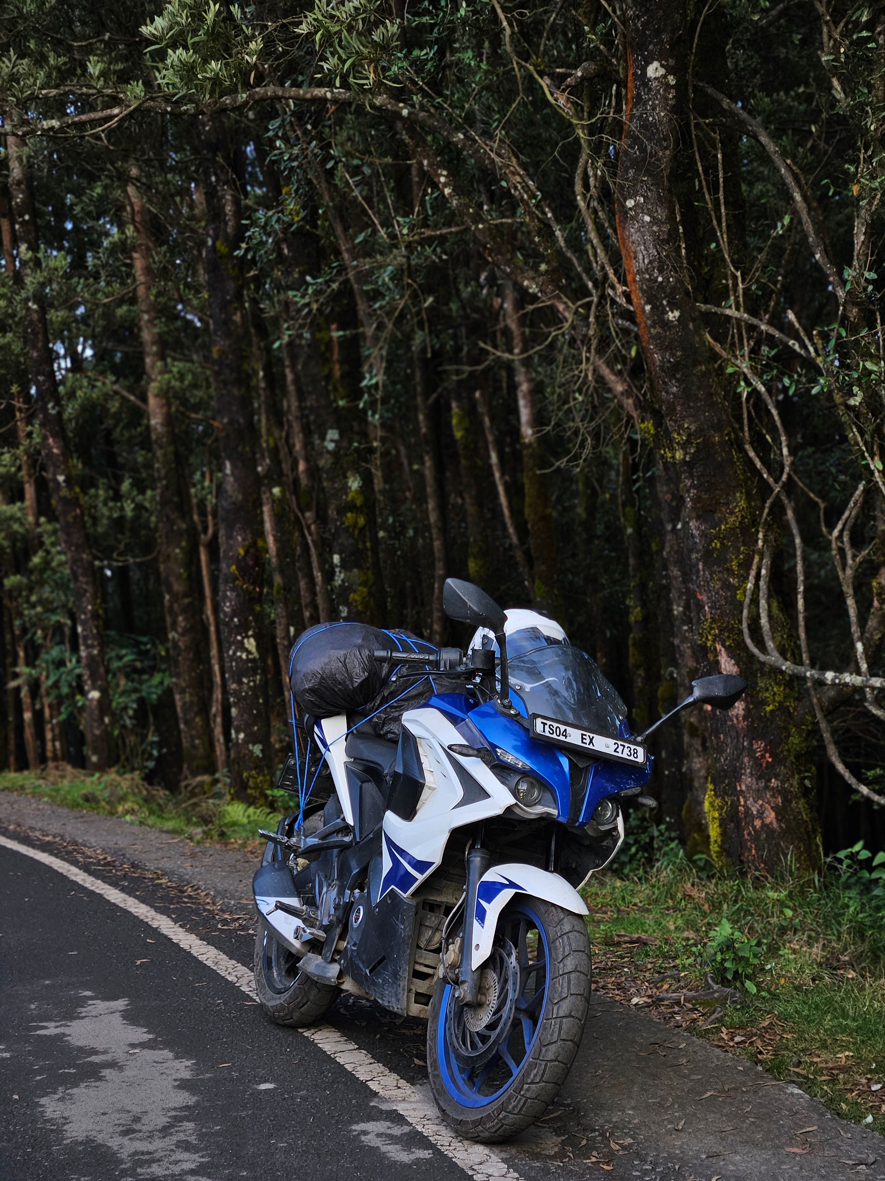 Parked Blue Motorcycle by Forest Roadside · Free Stock Photo