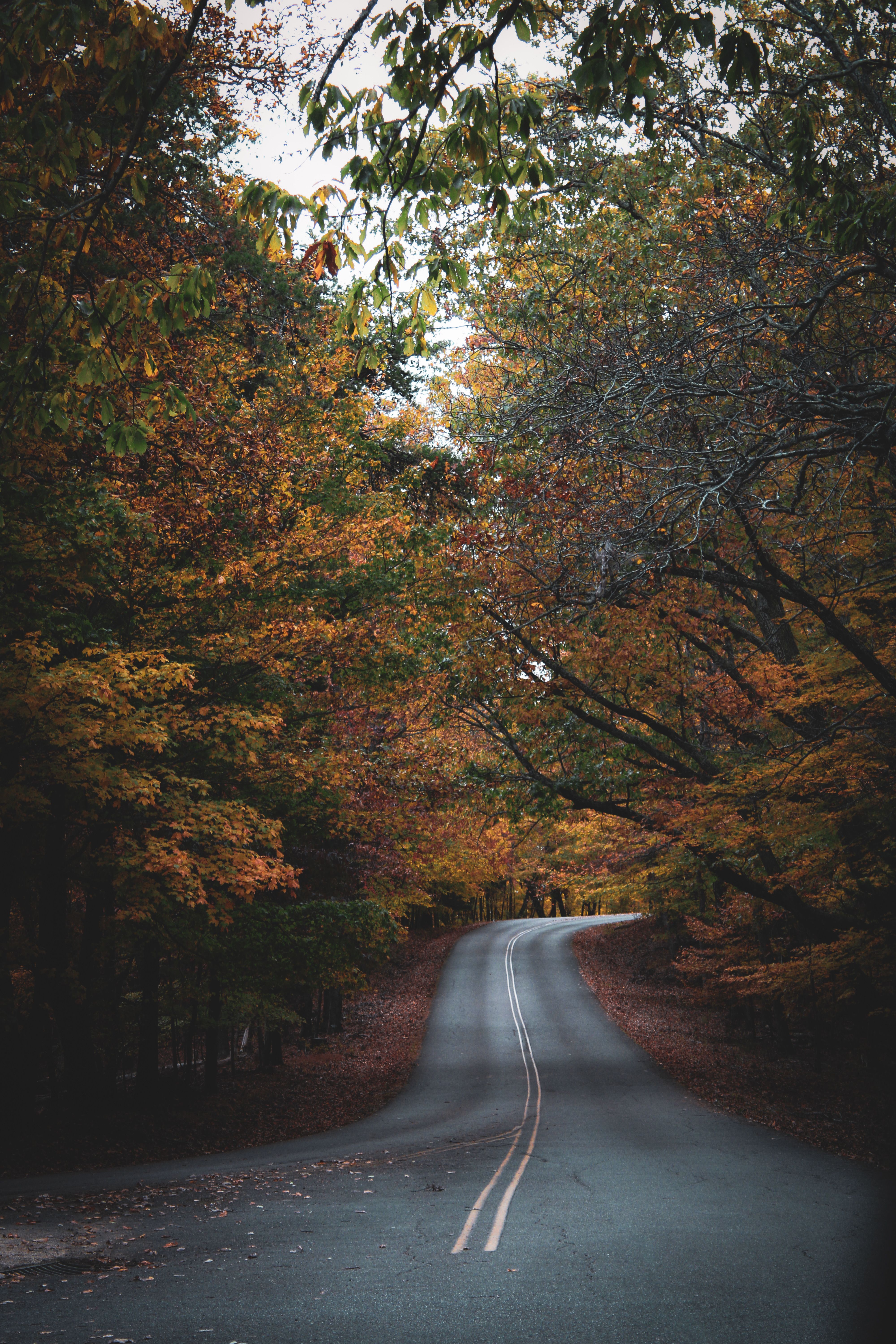 Wide Angle Photo Of Road · Free Stock Photo