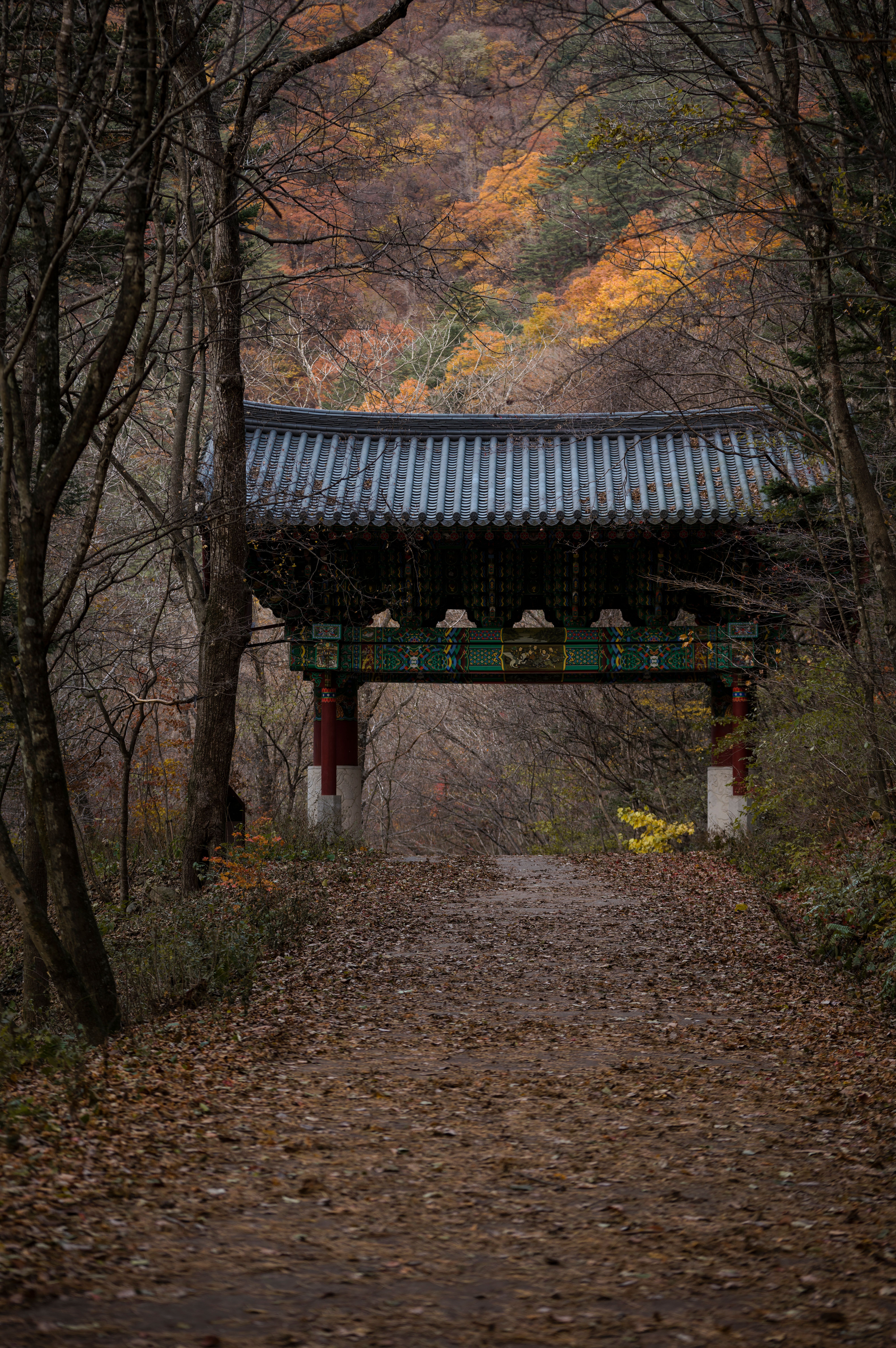Autumn Pathway Leading to Traditional Asian Gate · Free Stock Photo