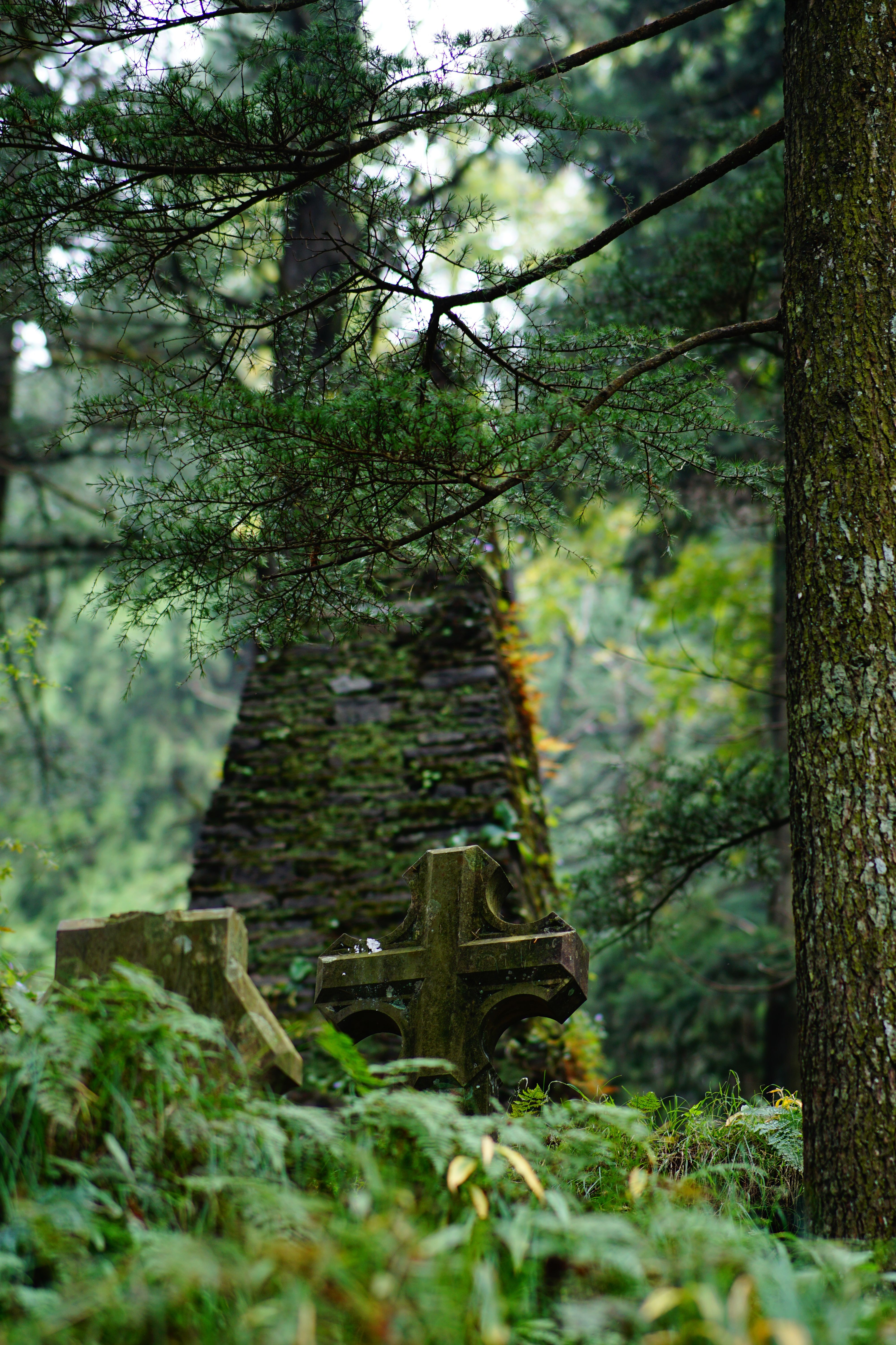 Ancient Cross and Stone Structure in Forest · Free Stock Photo