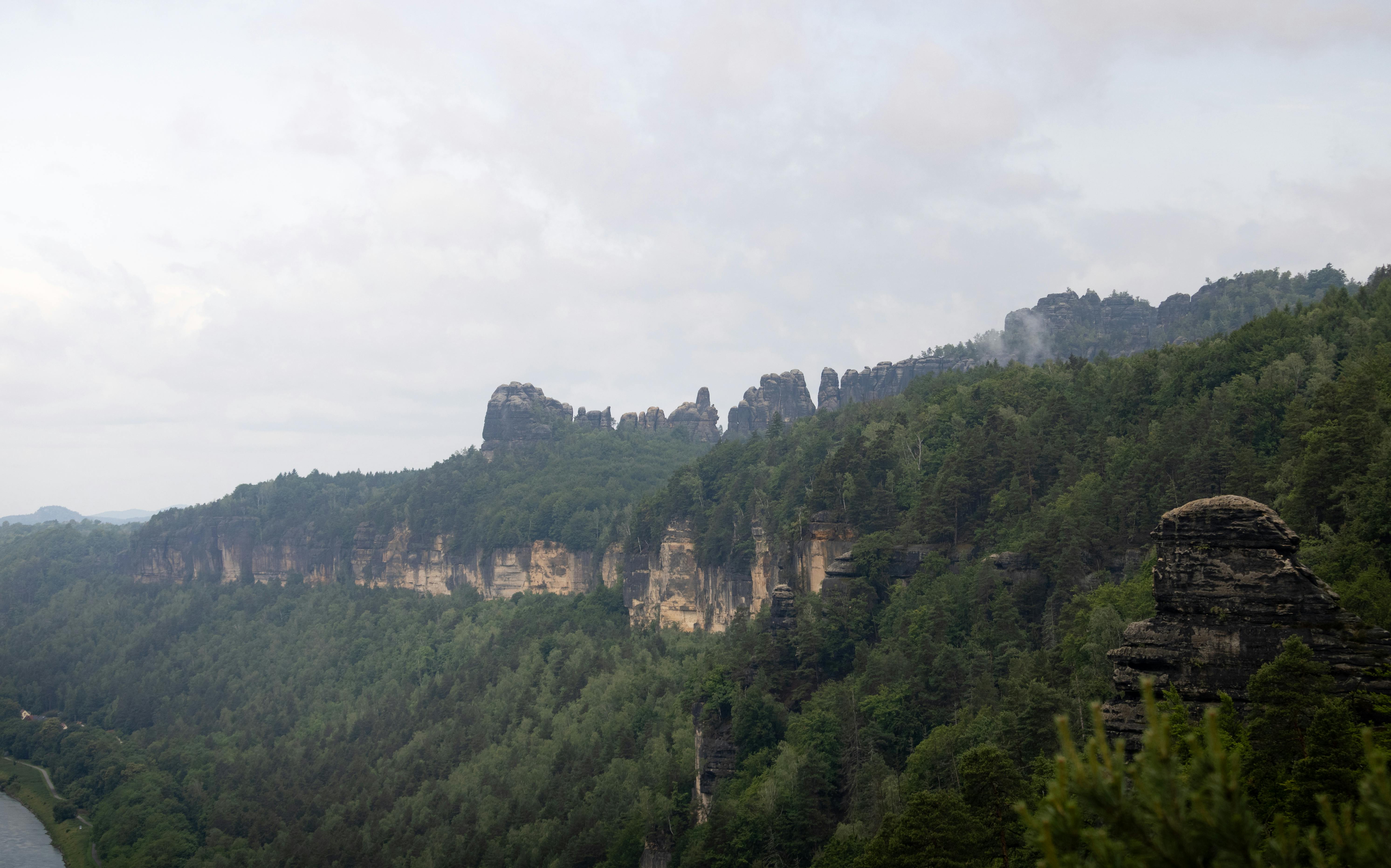 Everyone+Pointing+At+Wallpaper+Meme Photos, Download The BEST Free ...