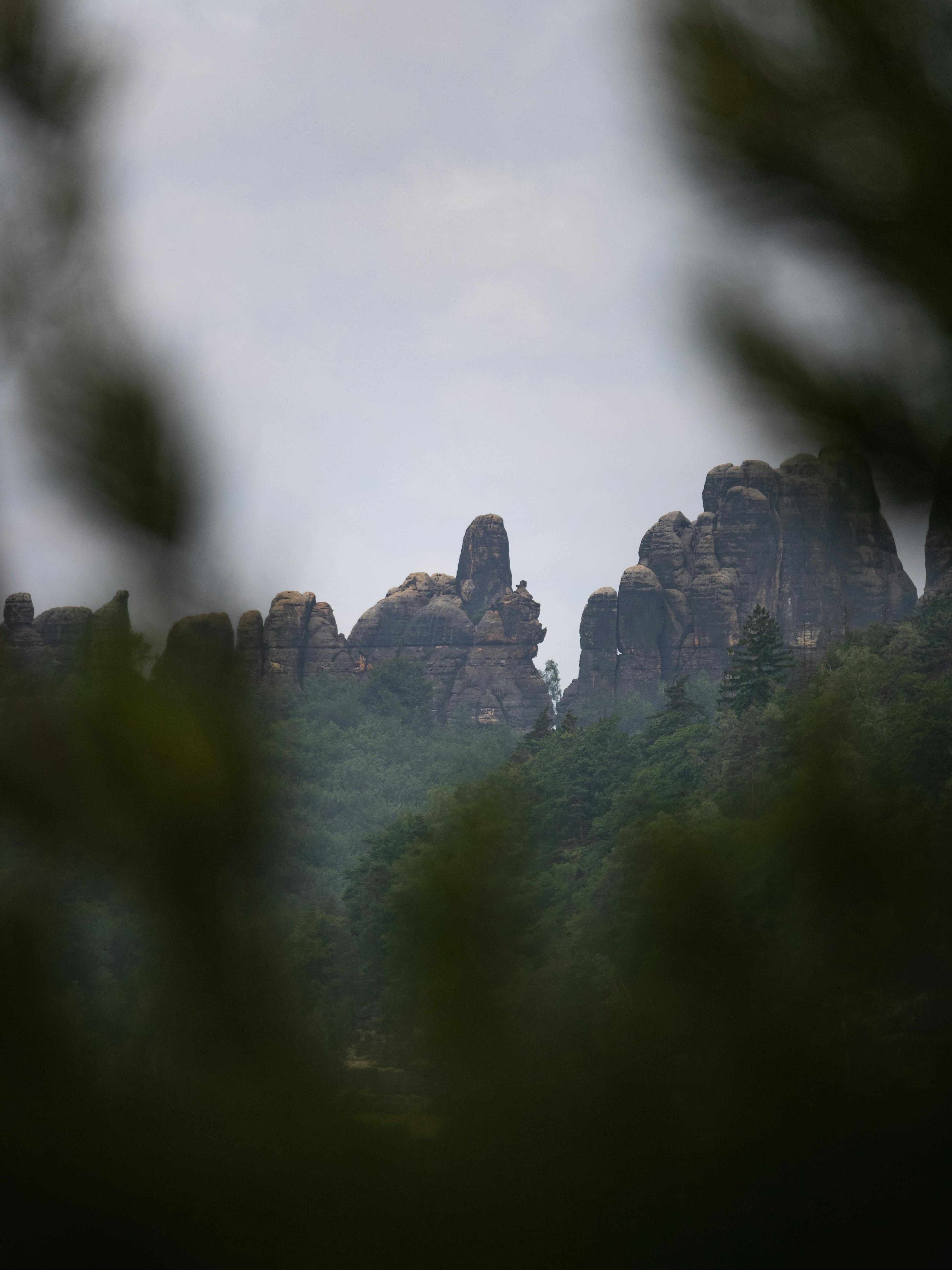 Everyone+Pointing+At+Wallpaper+Meme Photos, Download The BEST Free ...