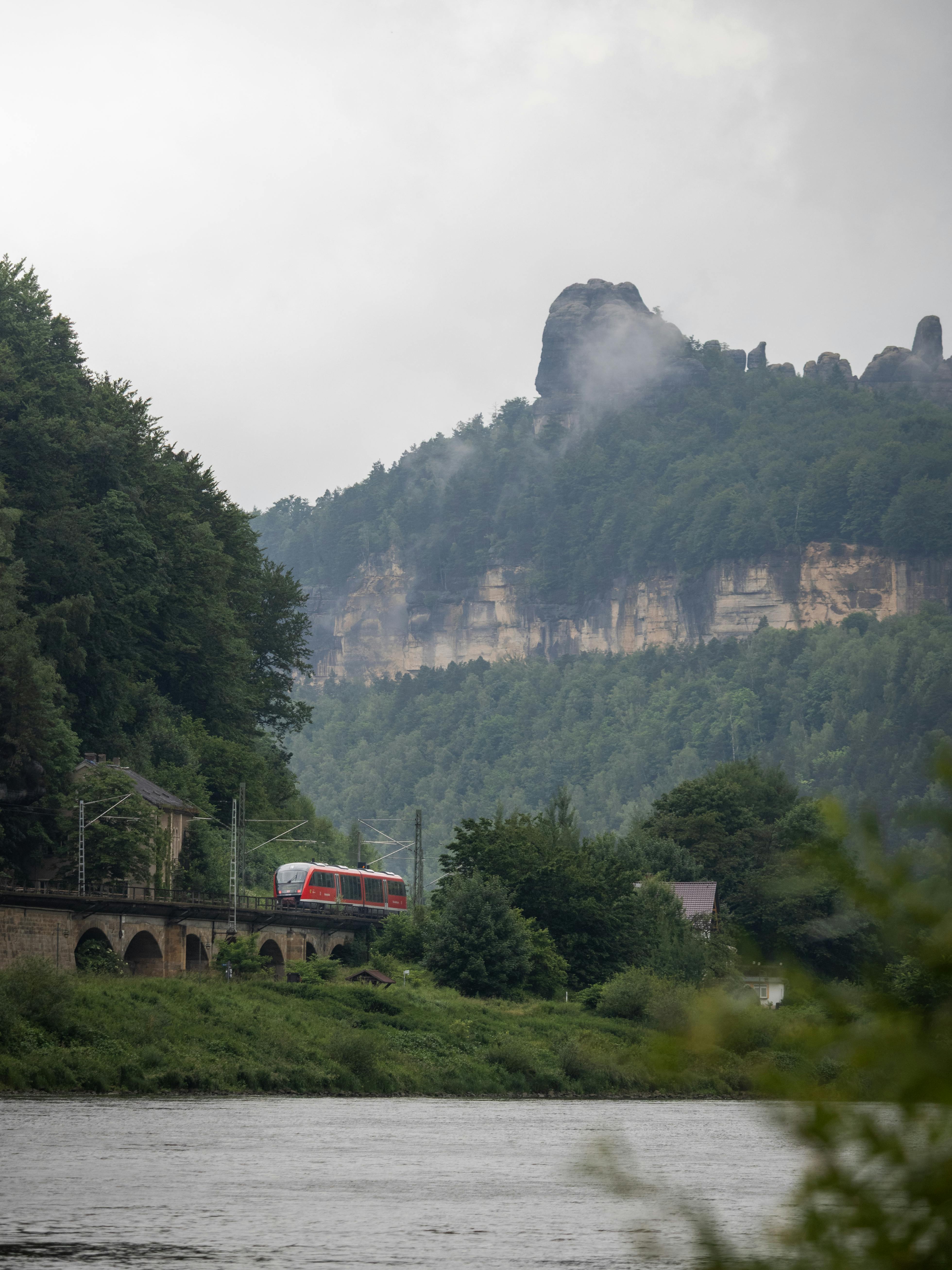 Everyone+Pointing+At+Wallpaper+Meme Photos, Download The BEST Free ...