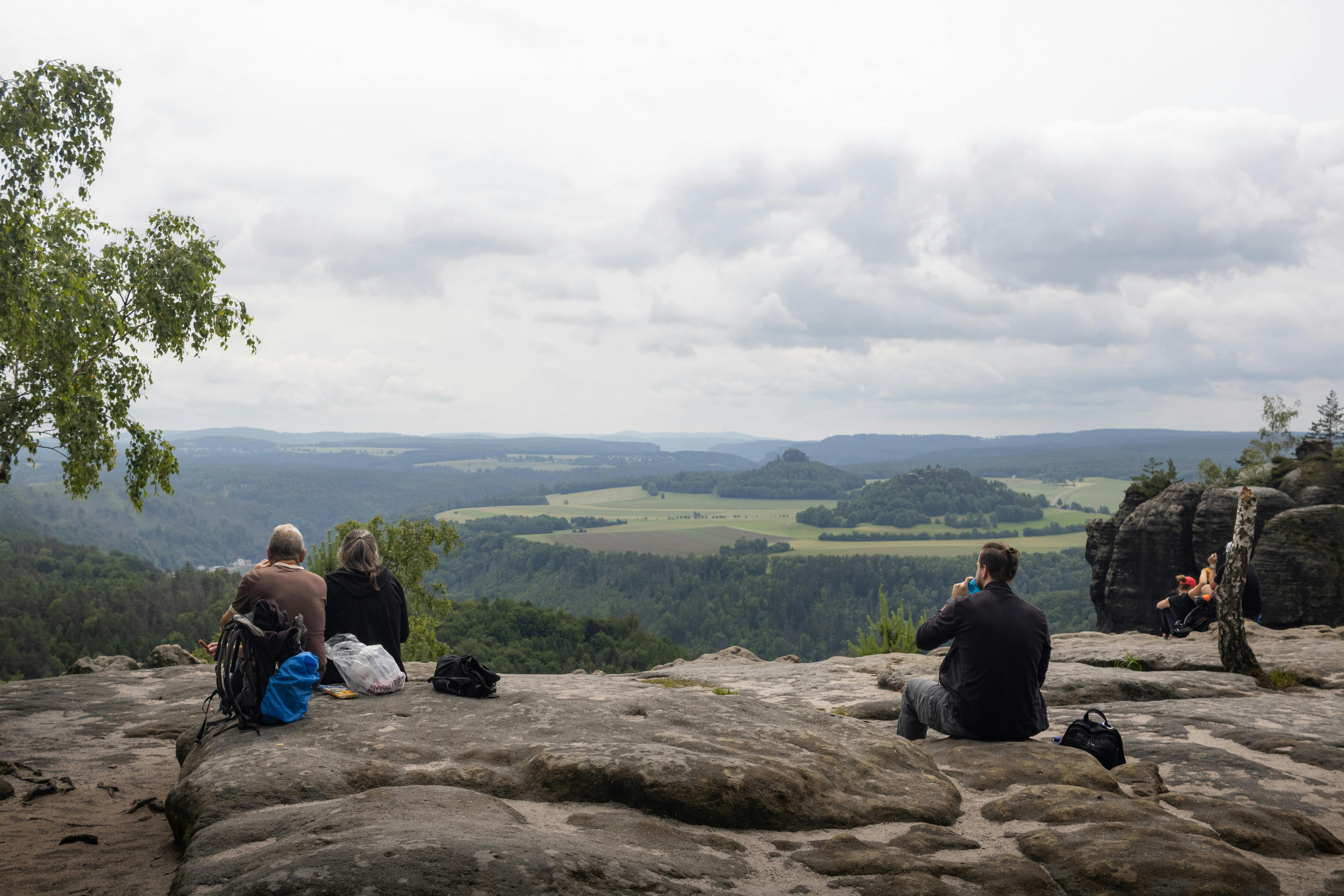 Everyone+Pointing+At+Wallpaper+Meme Photos, Download The BEST Free ...