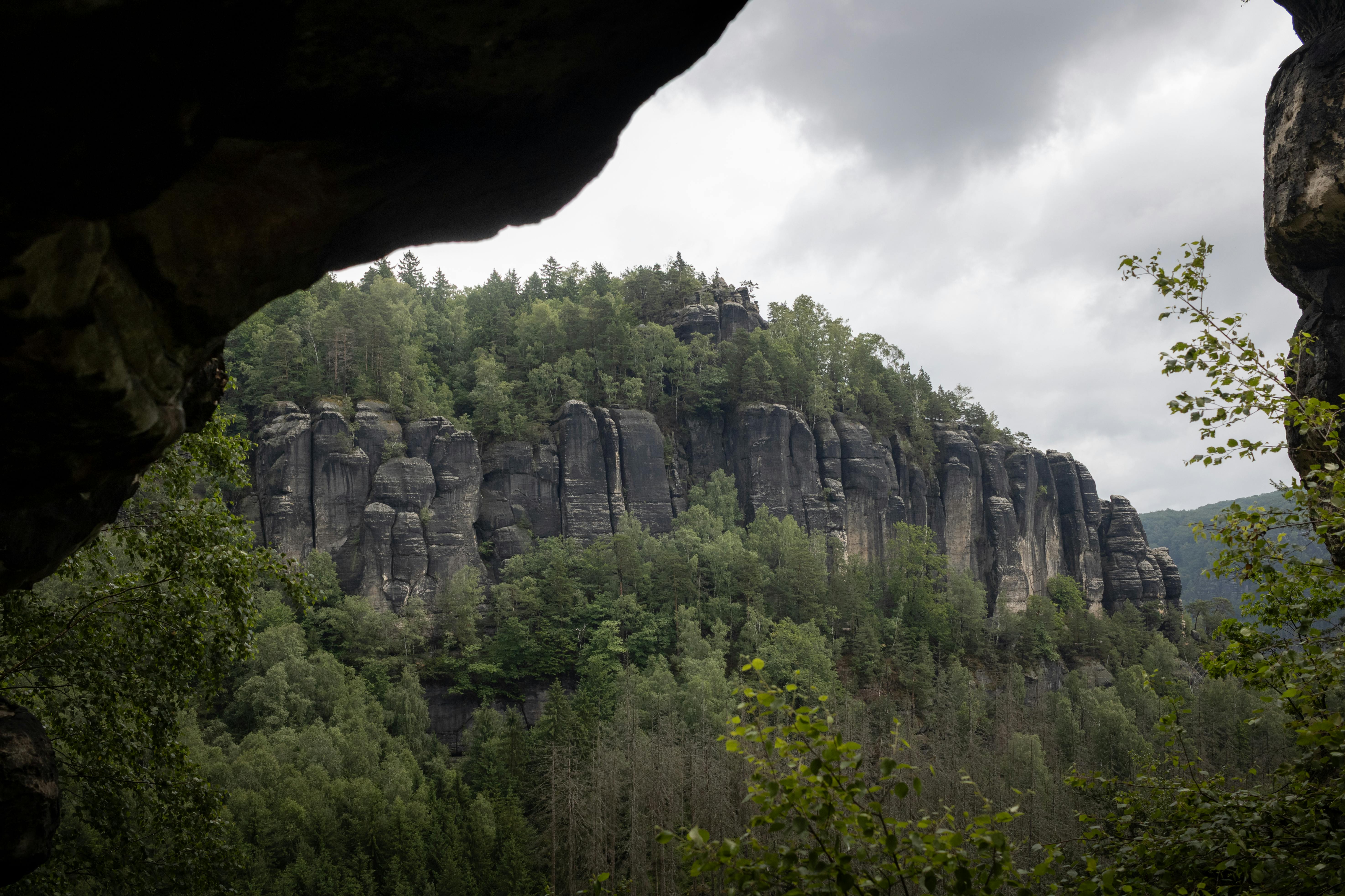 Everyone+Pointing+At+Wallpaper+Meme Photos, Download The BEST Free ...