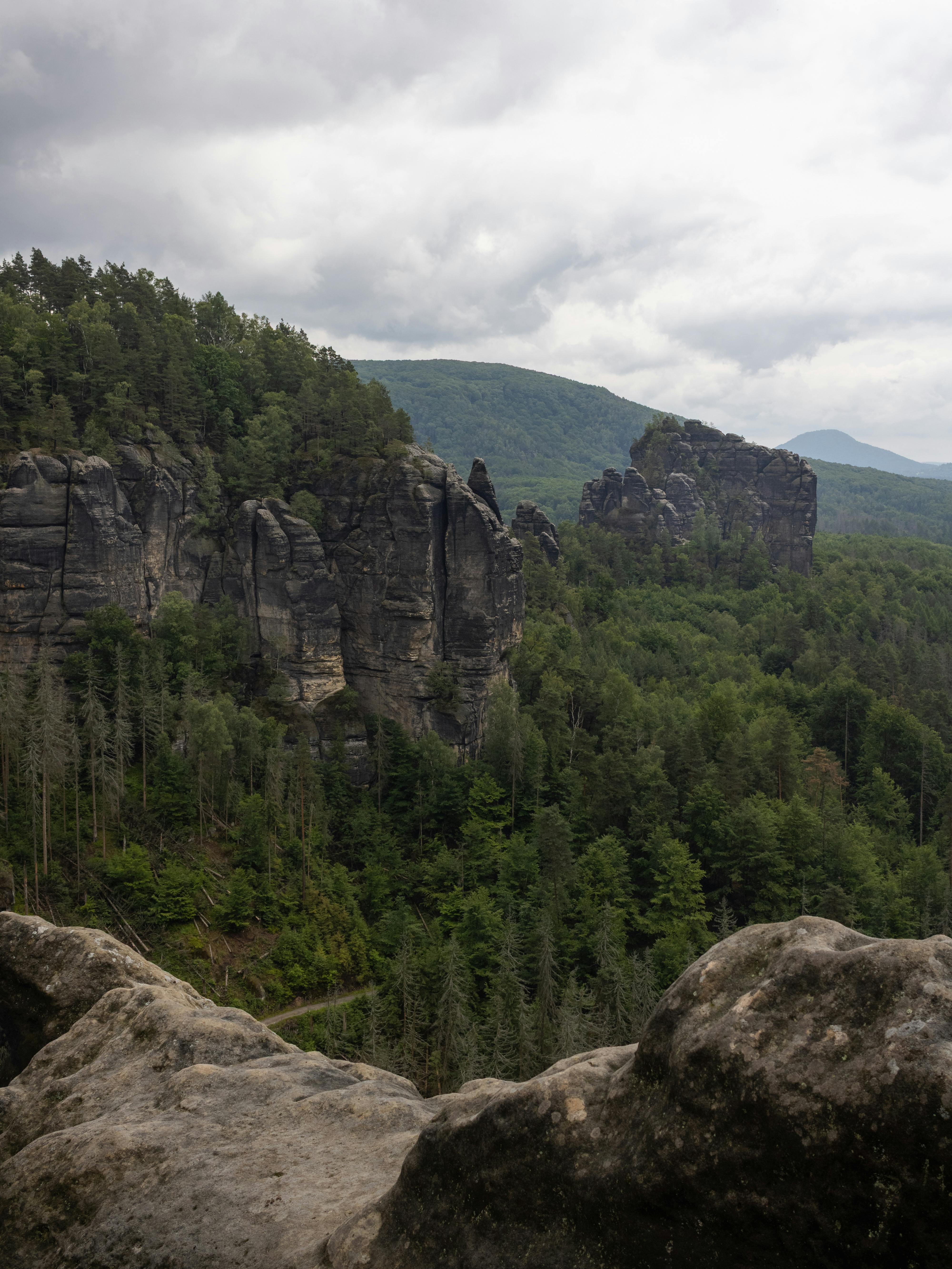 Everyone+Pointing+At+Wallpaper+Meme Photos, Download The BEST Free ...