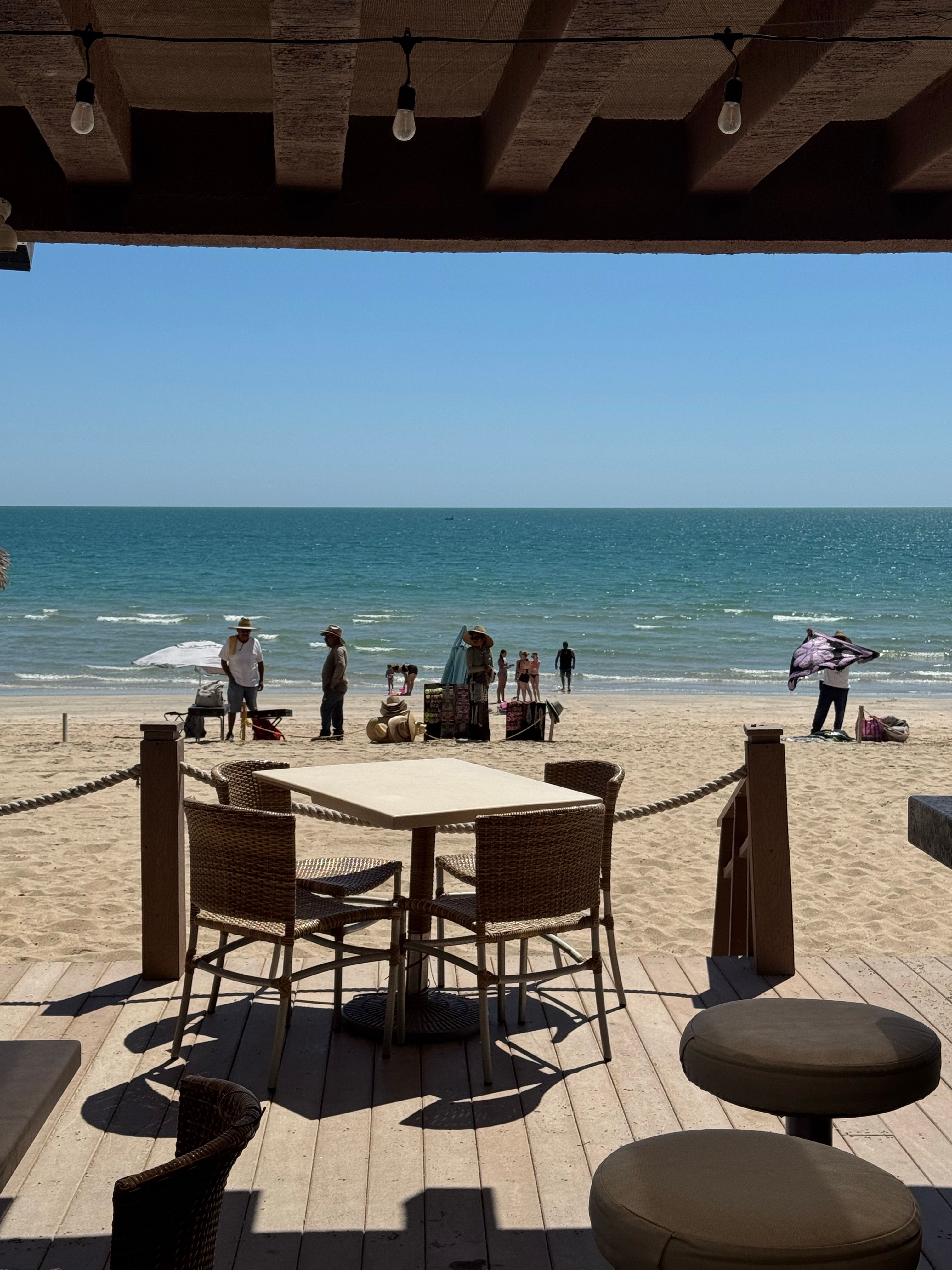 Idyllic Beachfront View from Shaded Terrace · Free Stock Photo