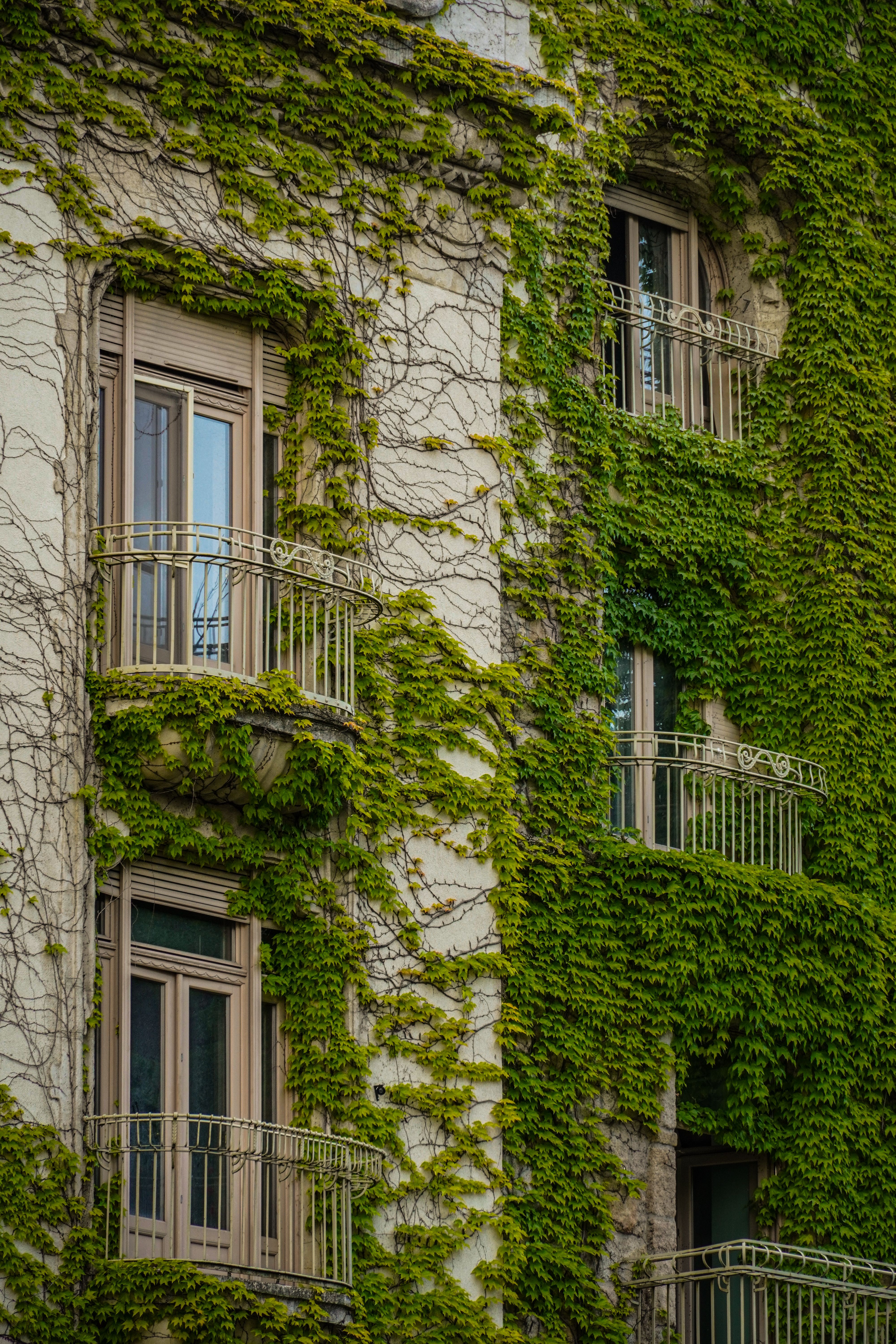 Microsoft Photos, Download The BEST Free Microsoft Stock Photos & HD Images