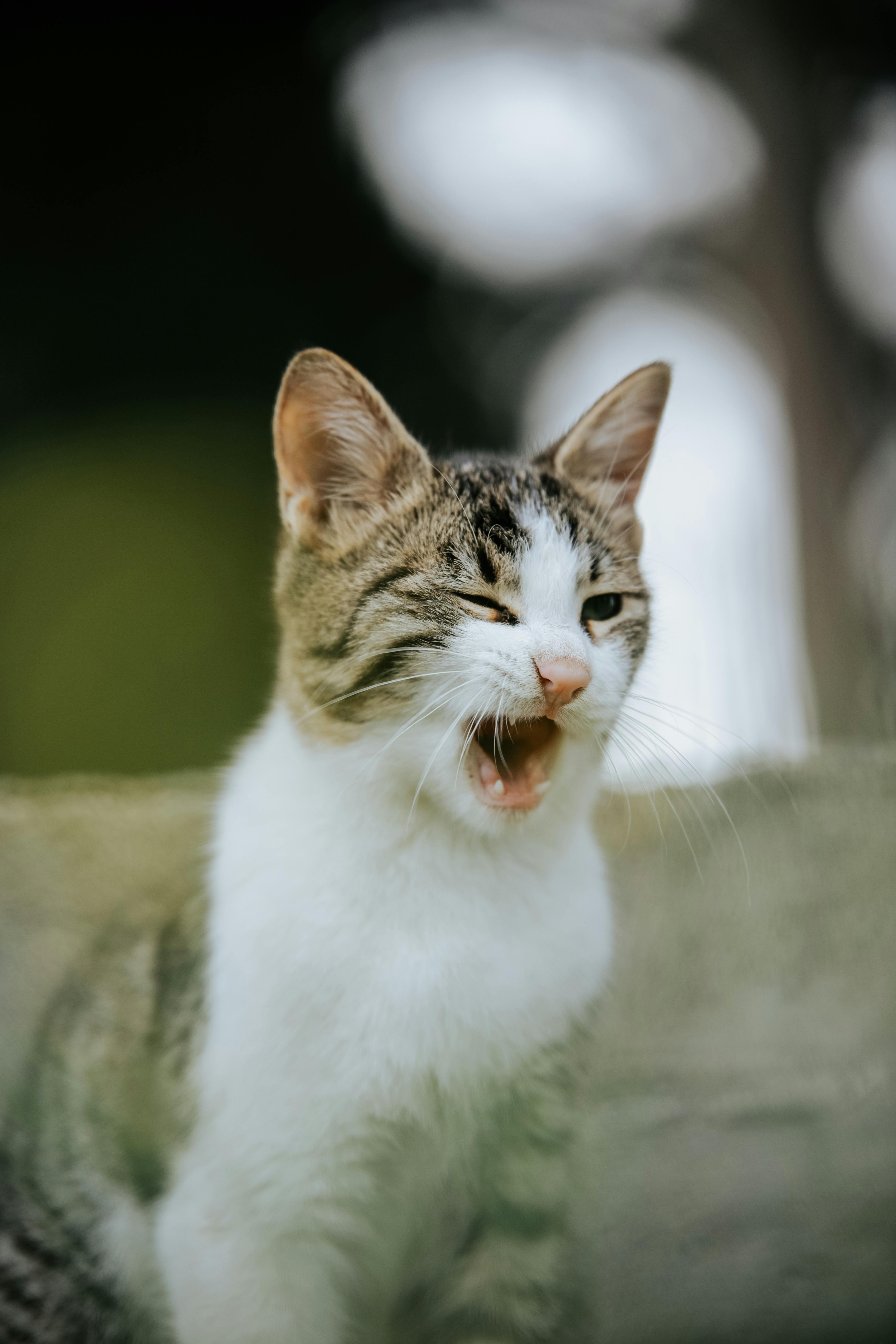 Everyone+Pointing+At+Wallpaper+Meme Photos, Download The BEST Free ...