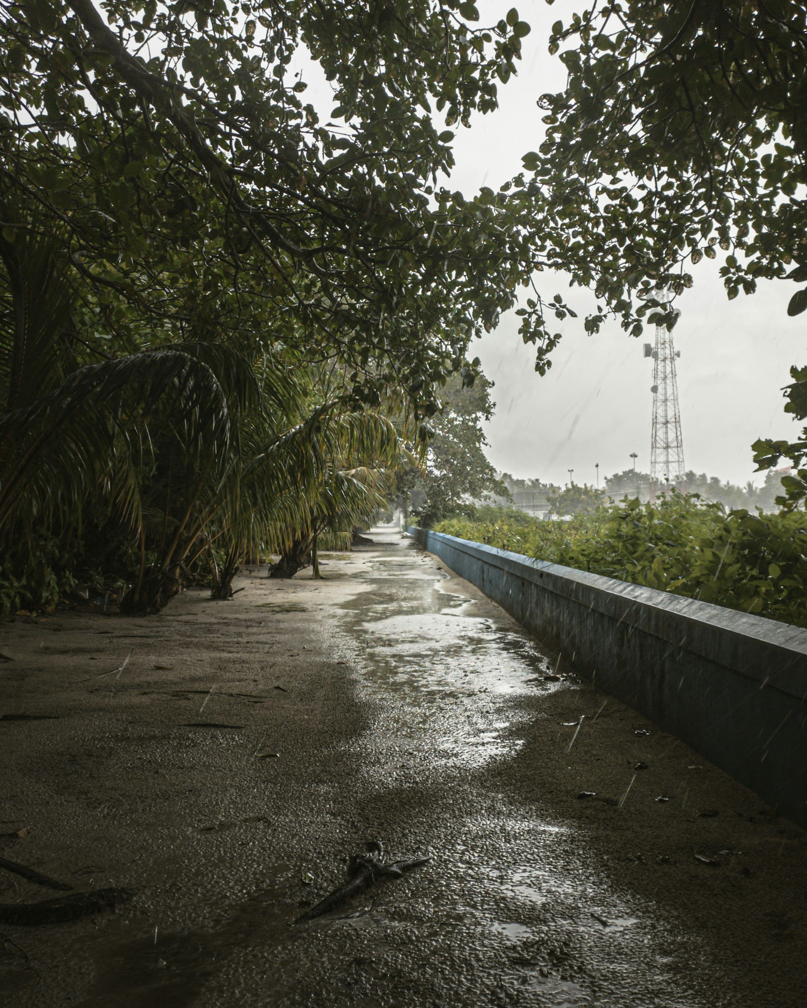 Monsoon Photos, Download The BEST Free Monsoon Stock Photos & HD Images