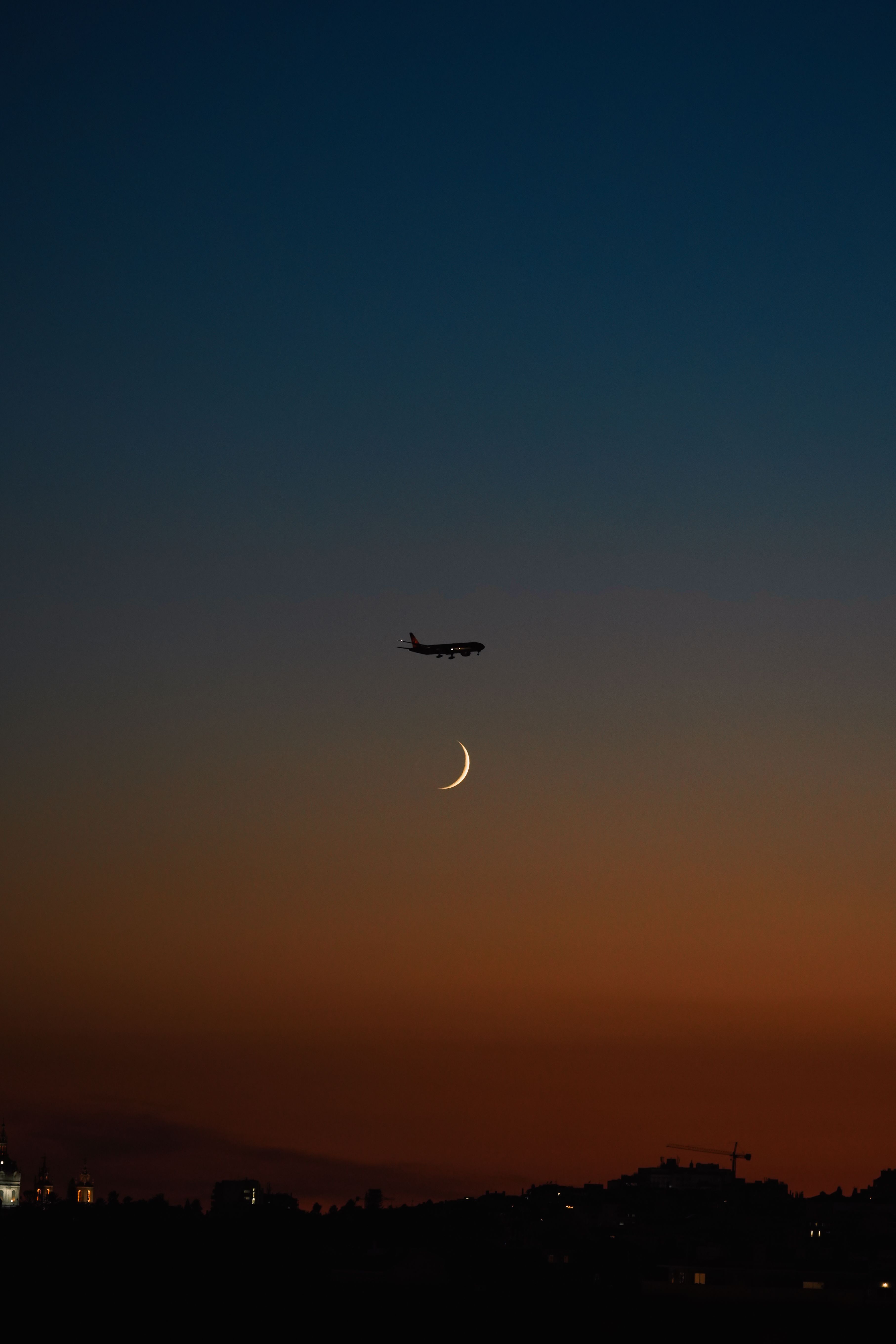 Adorable+Flights Photos, Download The BEST Free Adorable+Flights Stock ...