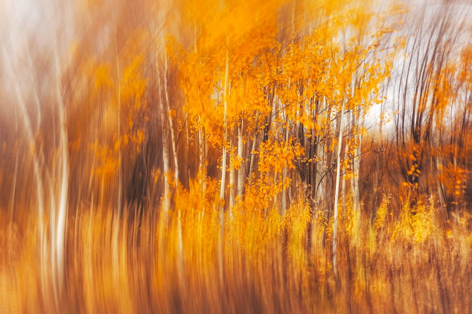Fall Abstract Photos, Download The BEST Free Fall Abstract Stock Photos ...