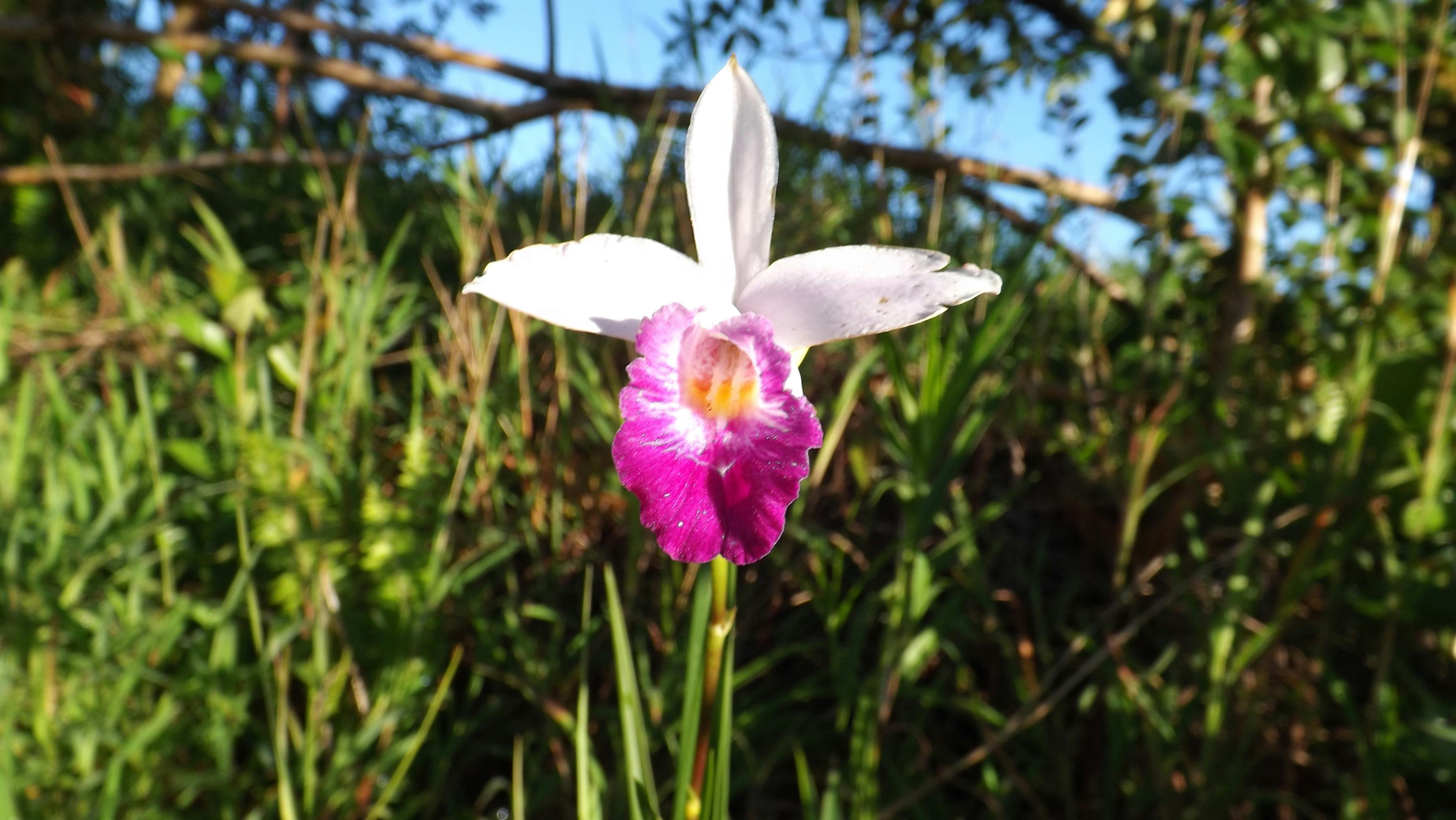 Green 31 Photos & Videos Collected by Ben Rasmussen