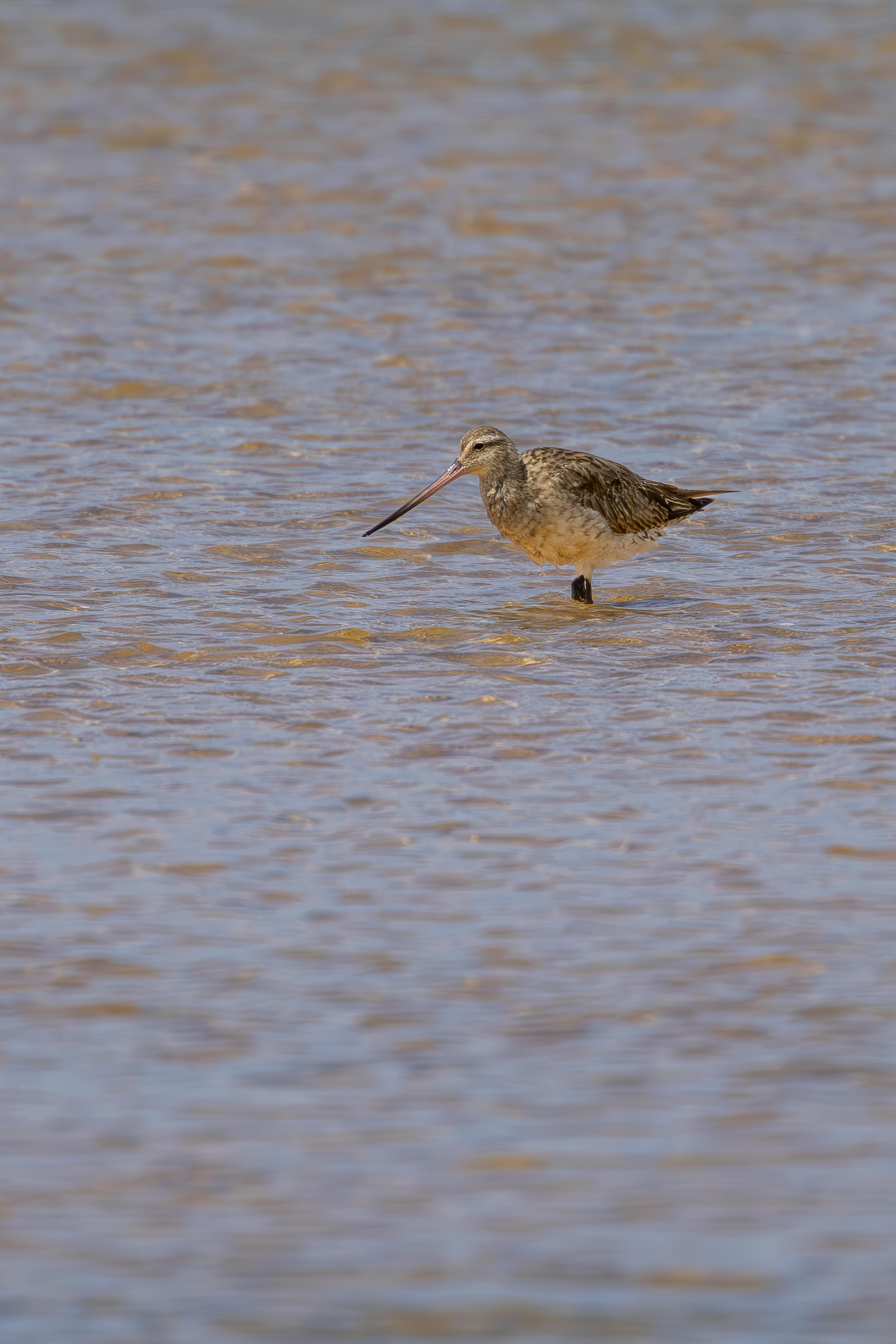 4.000+ God+bedrock+minecraft Bilder und Fotos · Kostenlos Downloaden ...