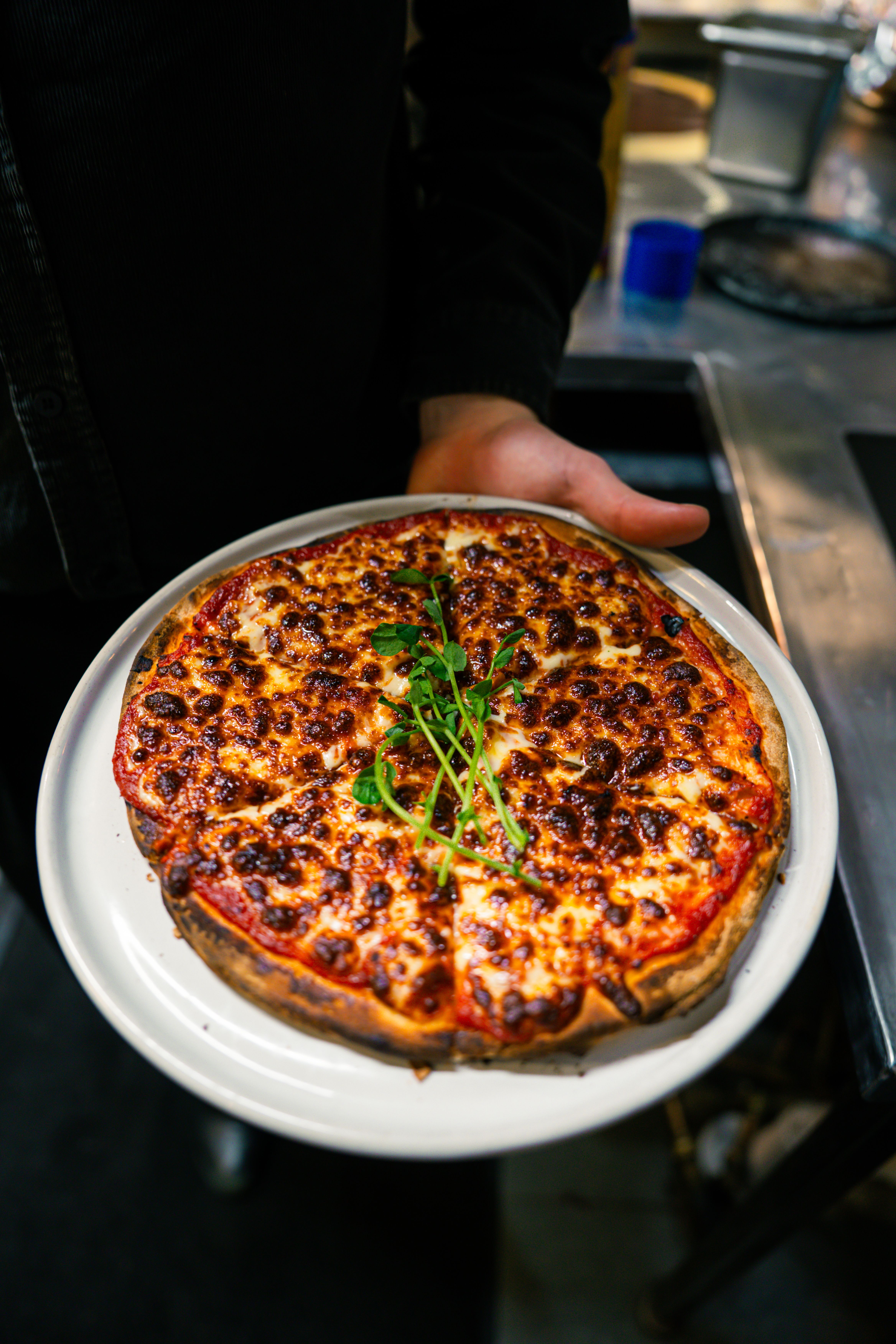 Delicious Homemade Pizza with Fresh Herbs · Free Stock Photo