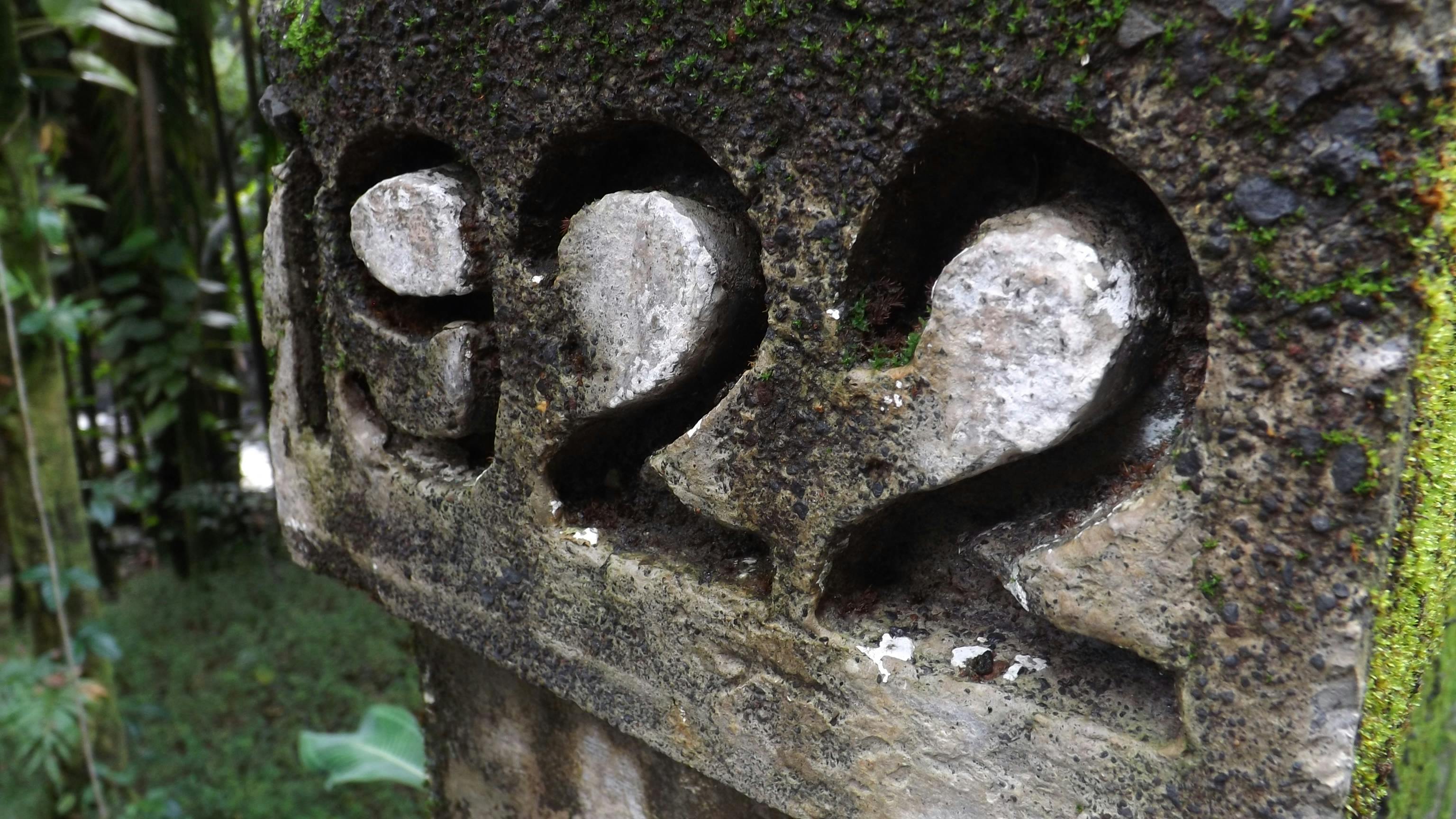 Green 31 Photos & Videos Collected by Ben Rasmussen