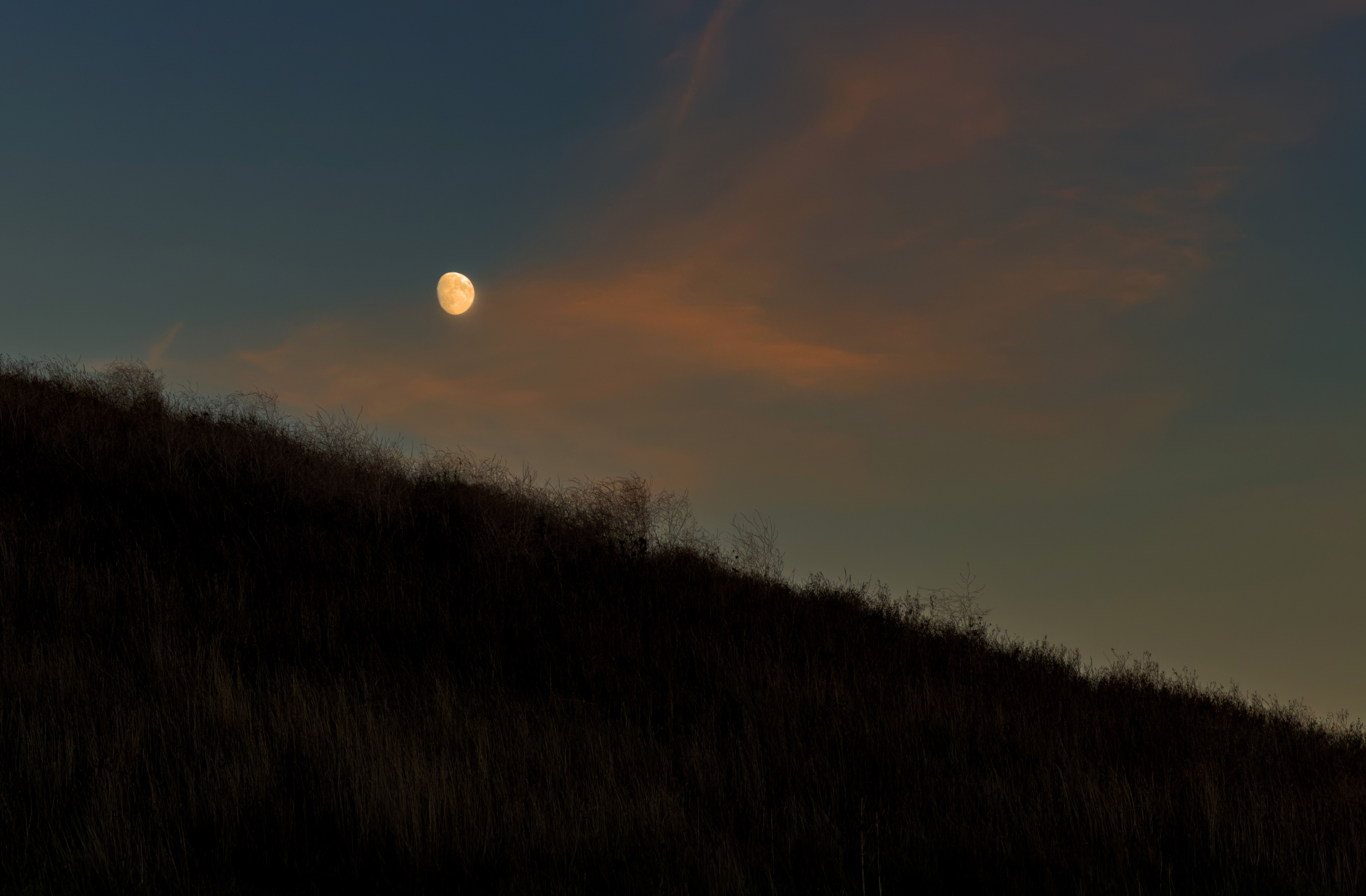 Moonlit Evening Over Northala Fields · Free Stock Photo