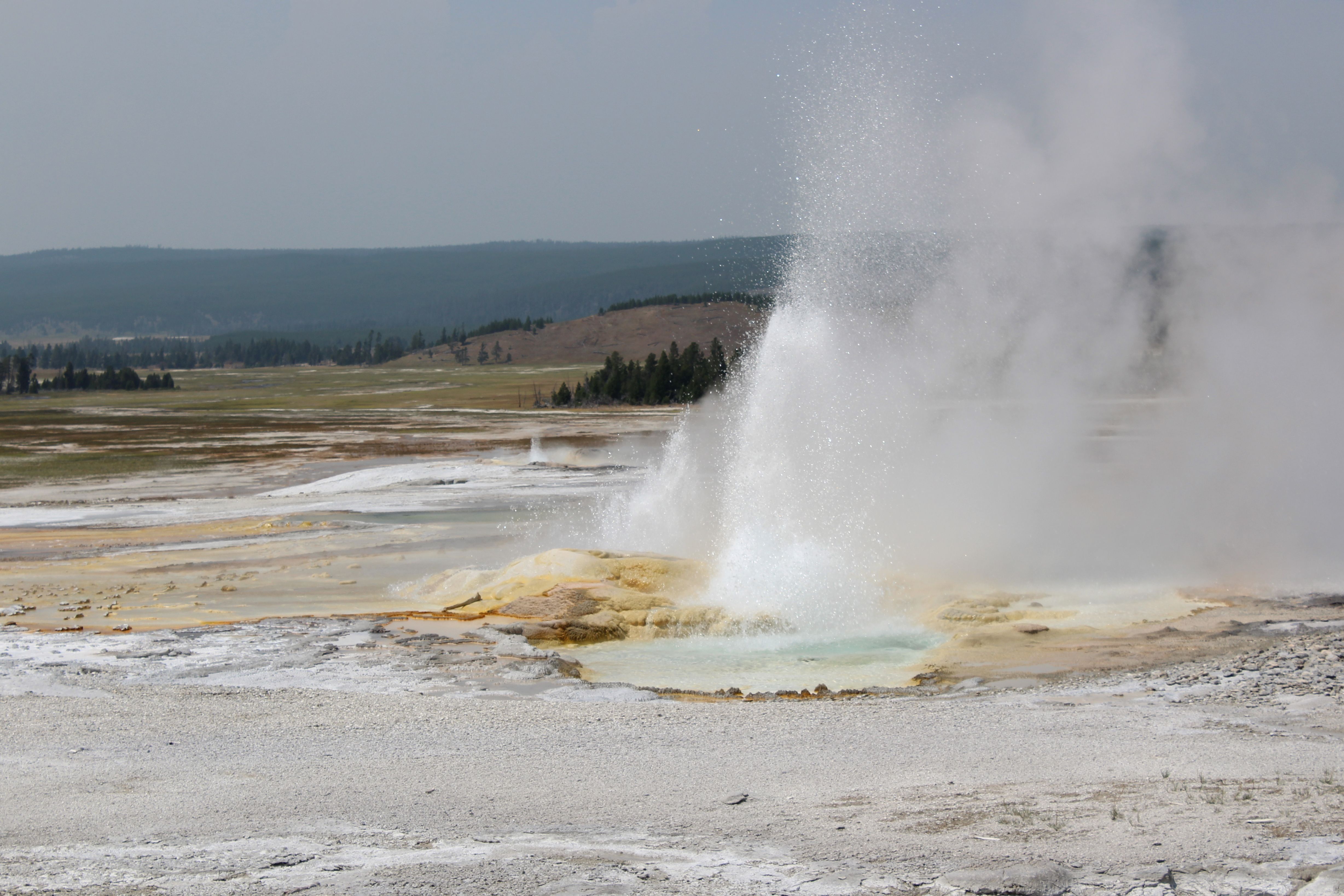 Geyser Eruption in Yellowstone National Park · Free Stock Photo