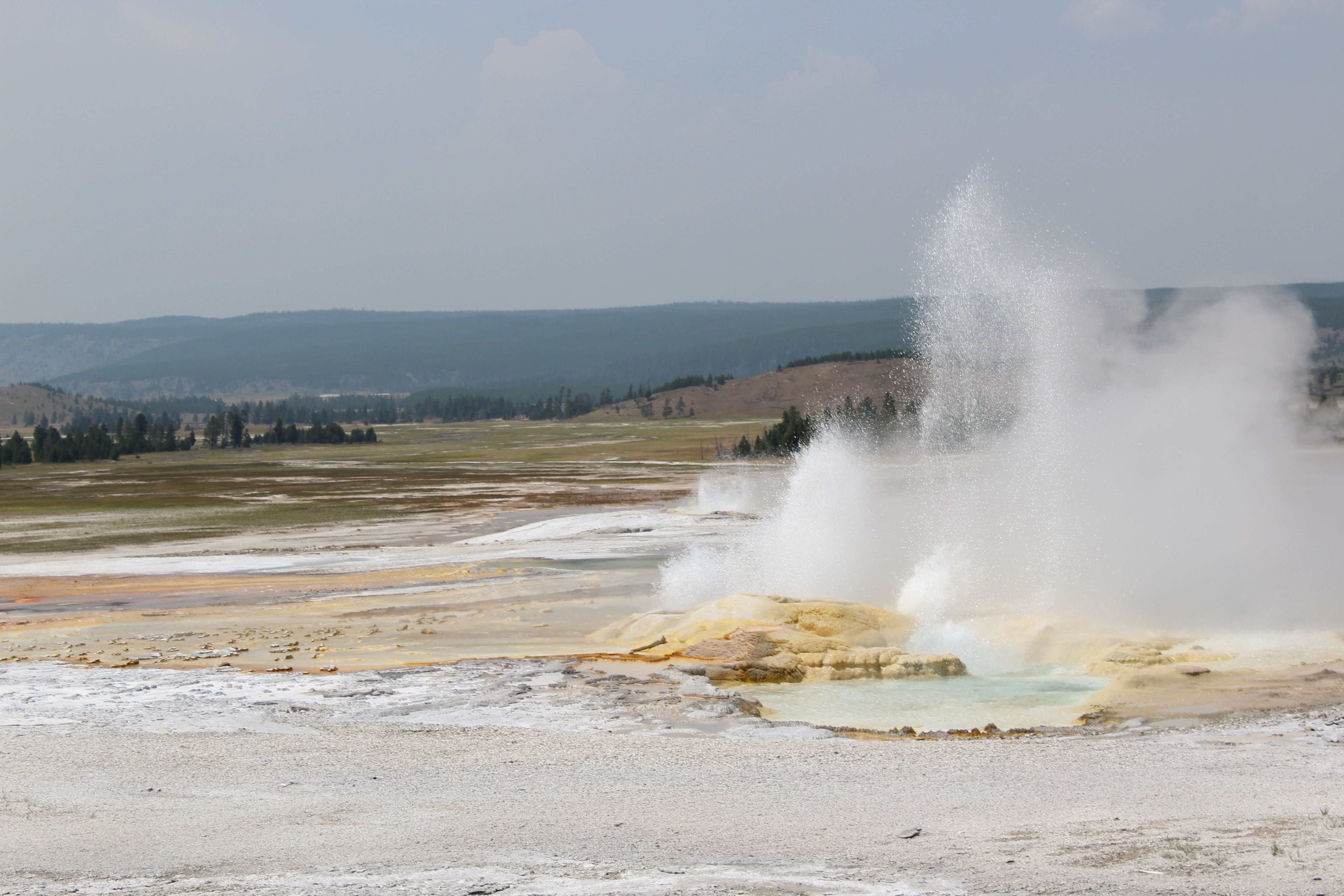 Yellowstone Geyser Erupting in Vast Landscape · Free Stock Photo
