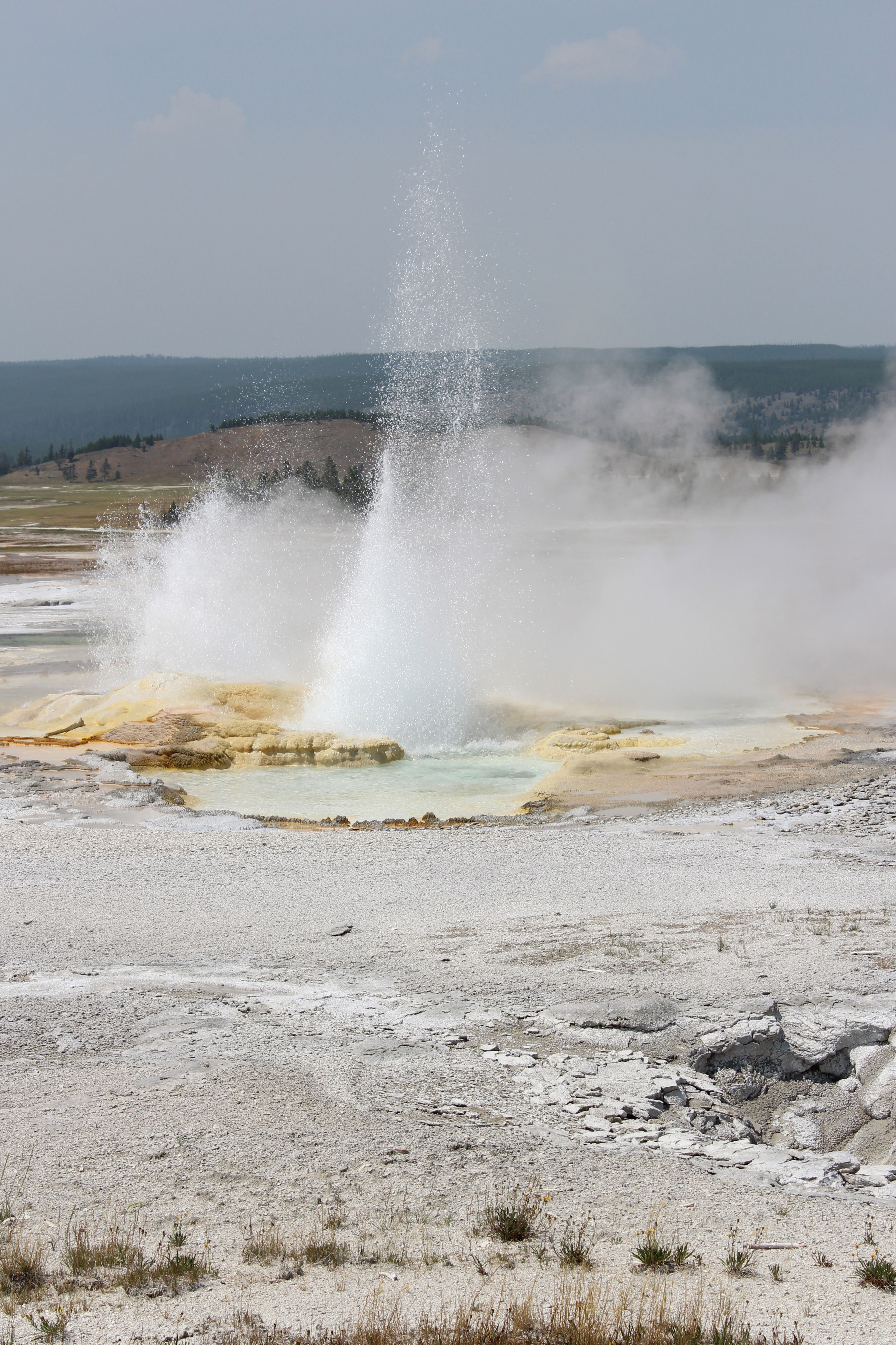Vibrant Geyser Eruption in Yellowstone National Park · Free Stock Photo