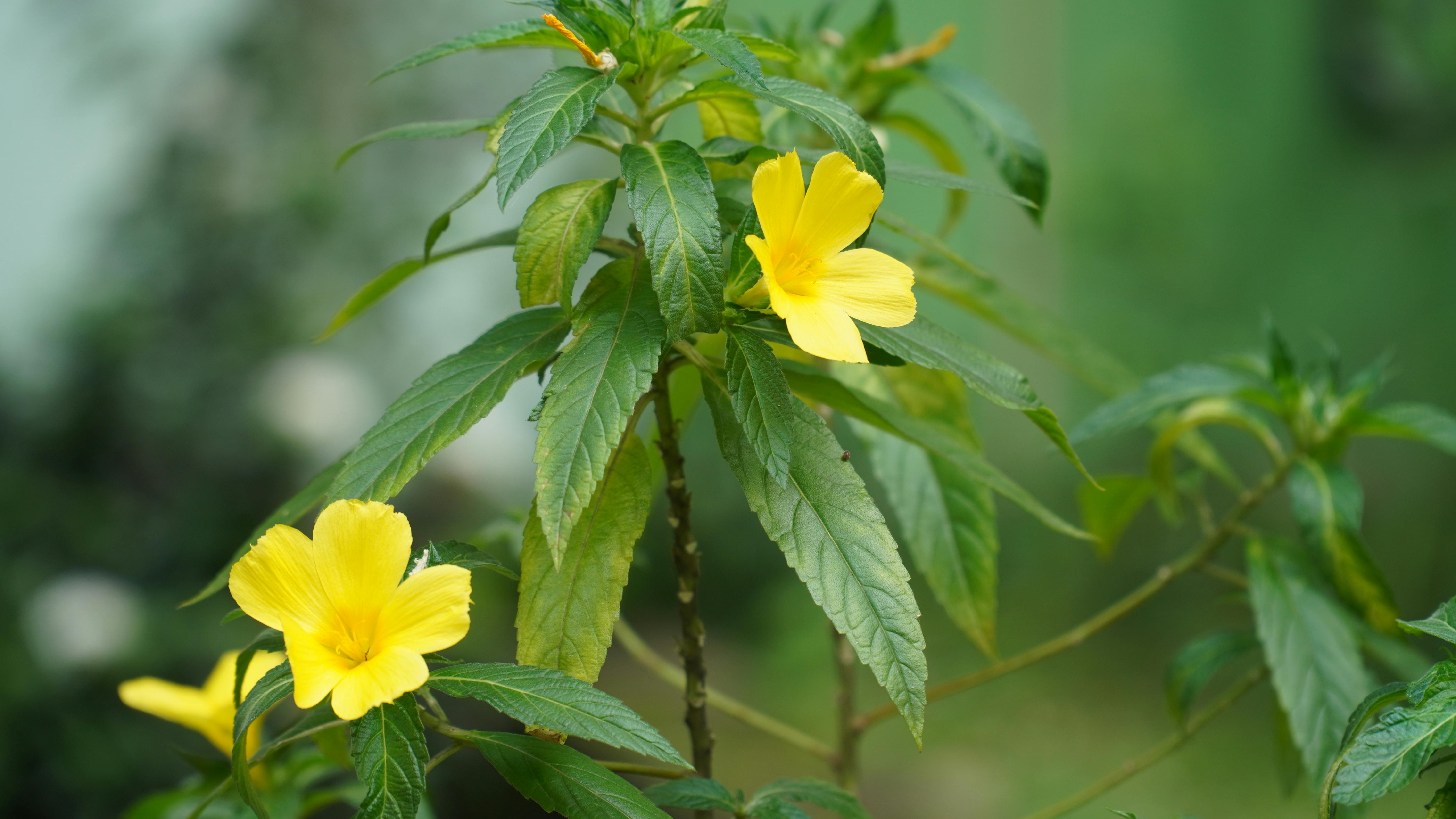 Gram Panchayat Images Photos, Download The BEST Free Gram Panchayat ...