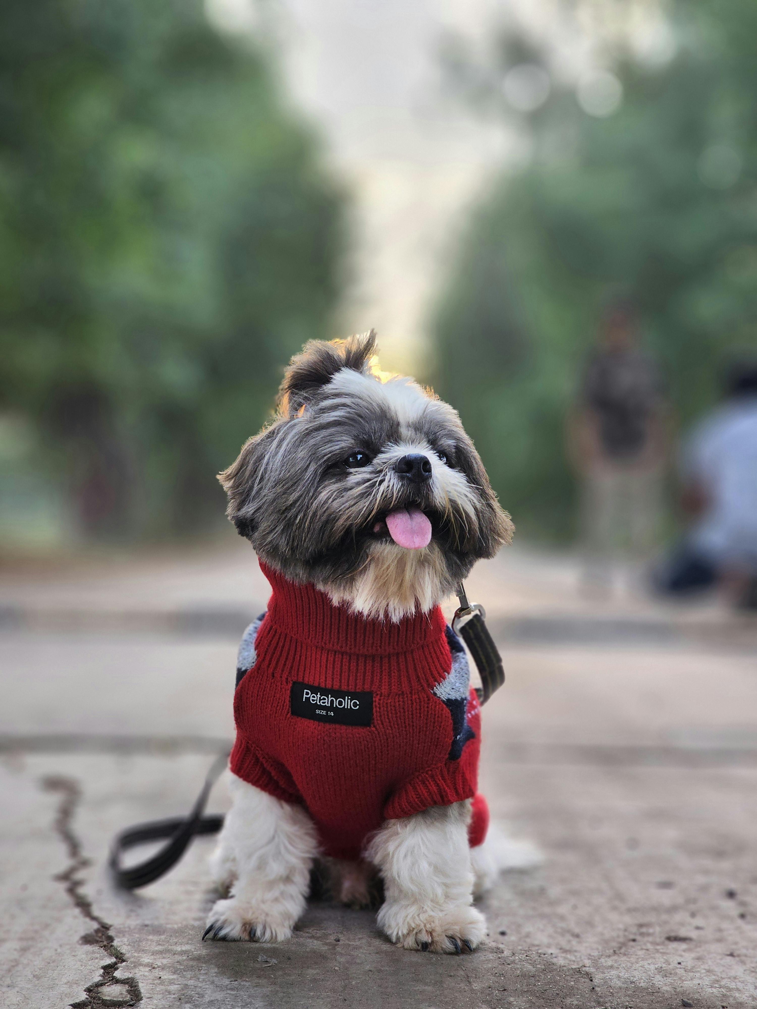 80.000+ The-telegraph-best-of-the-best Bilder und Fotos · Kostenlos ...