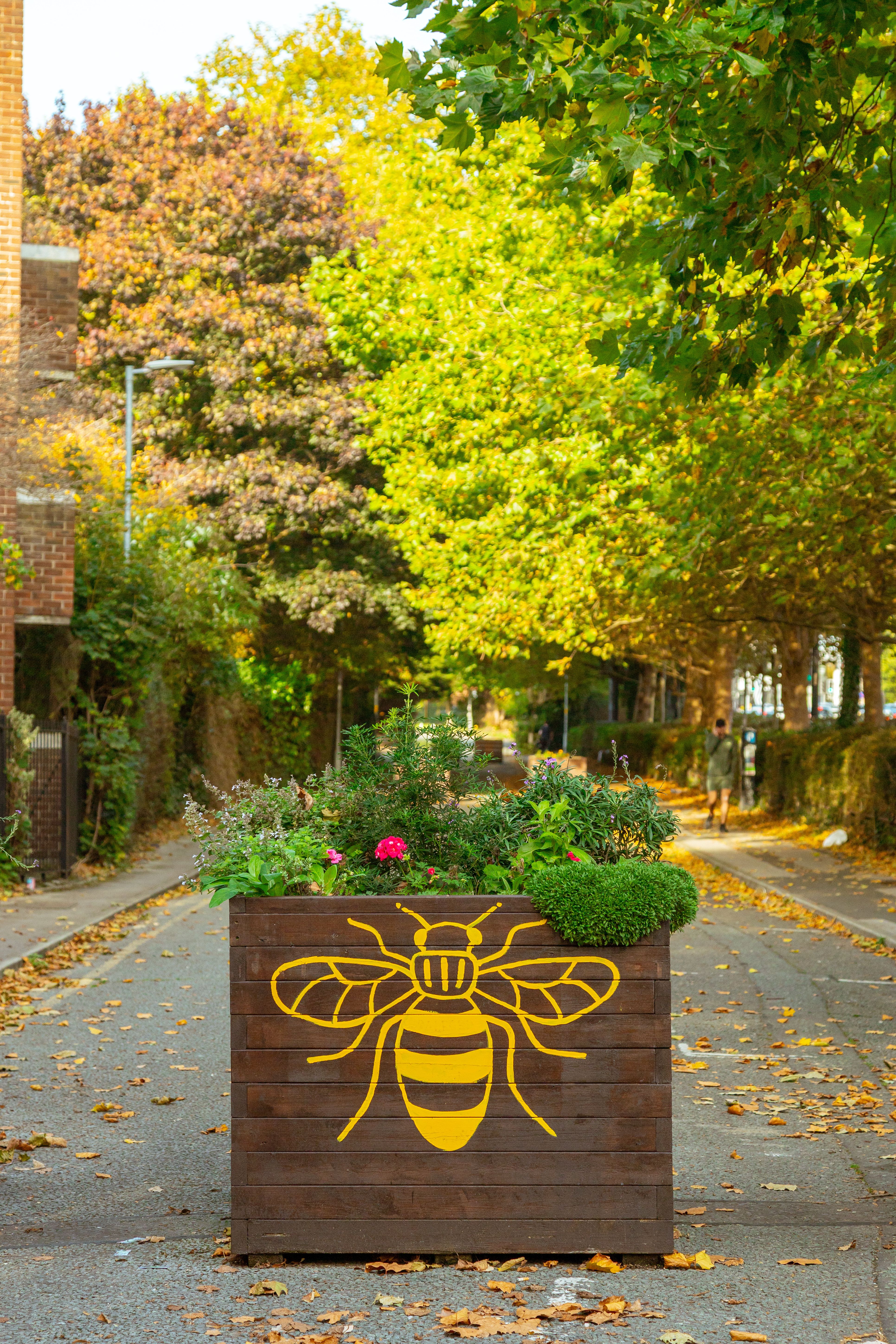 Neighborhood Beautification Photos, Download The BEST Free Neighborhood ...