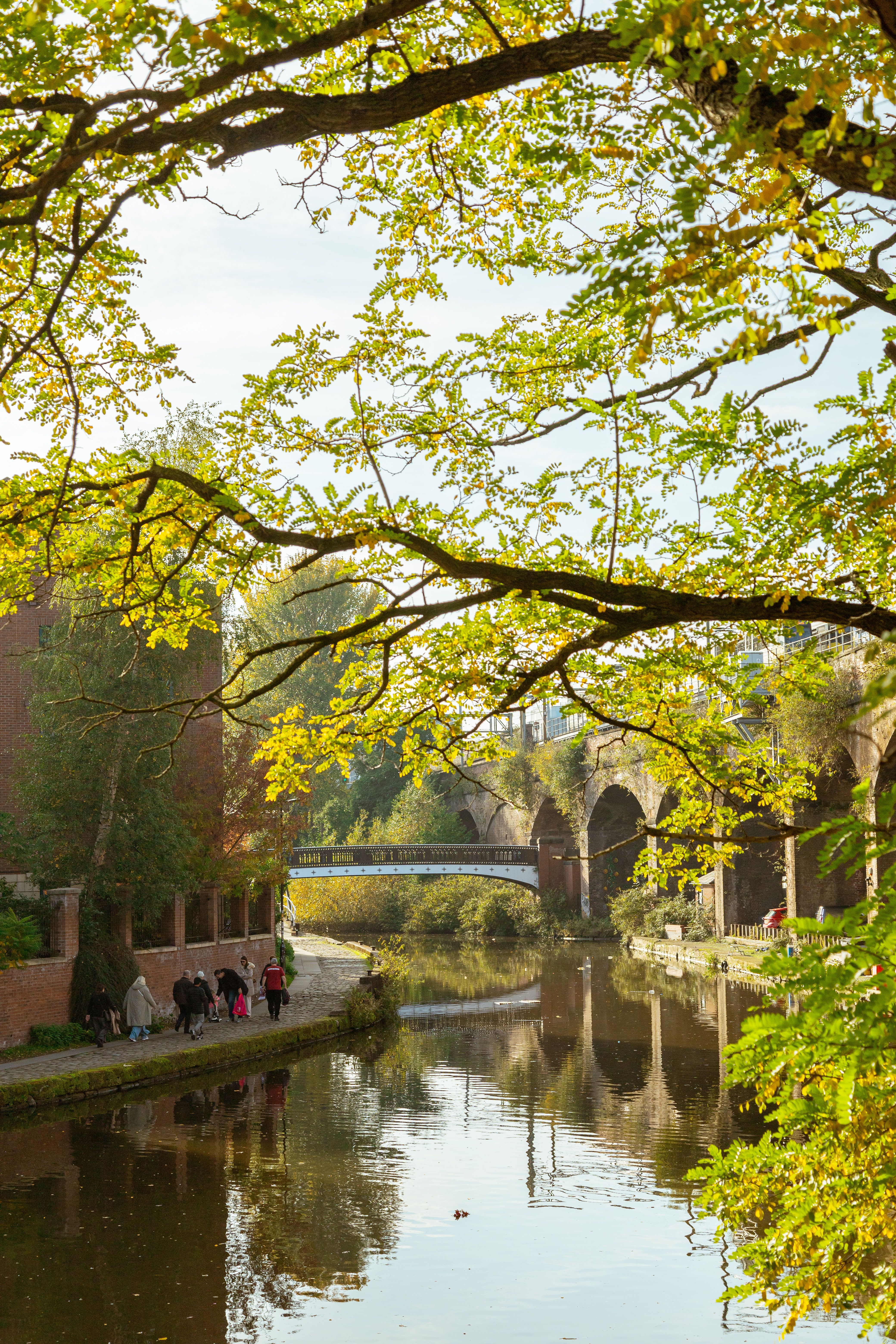 Scenic View of Manchester Canal in Autumn · Free Stock Photo