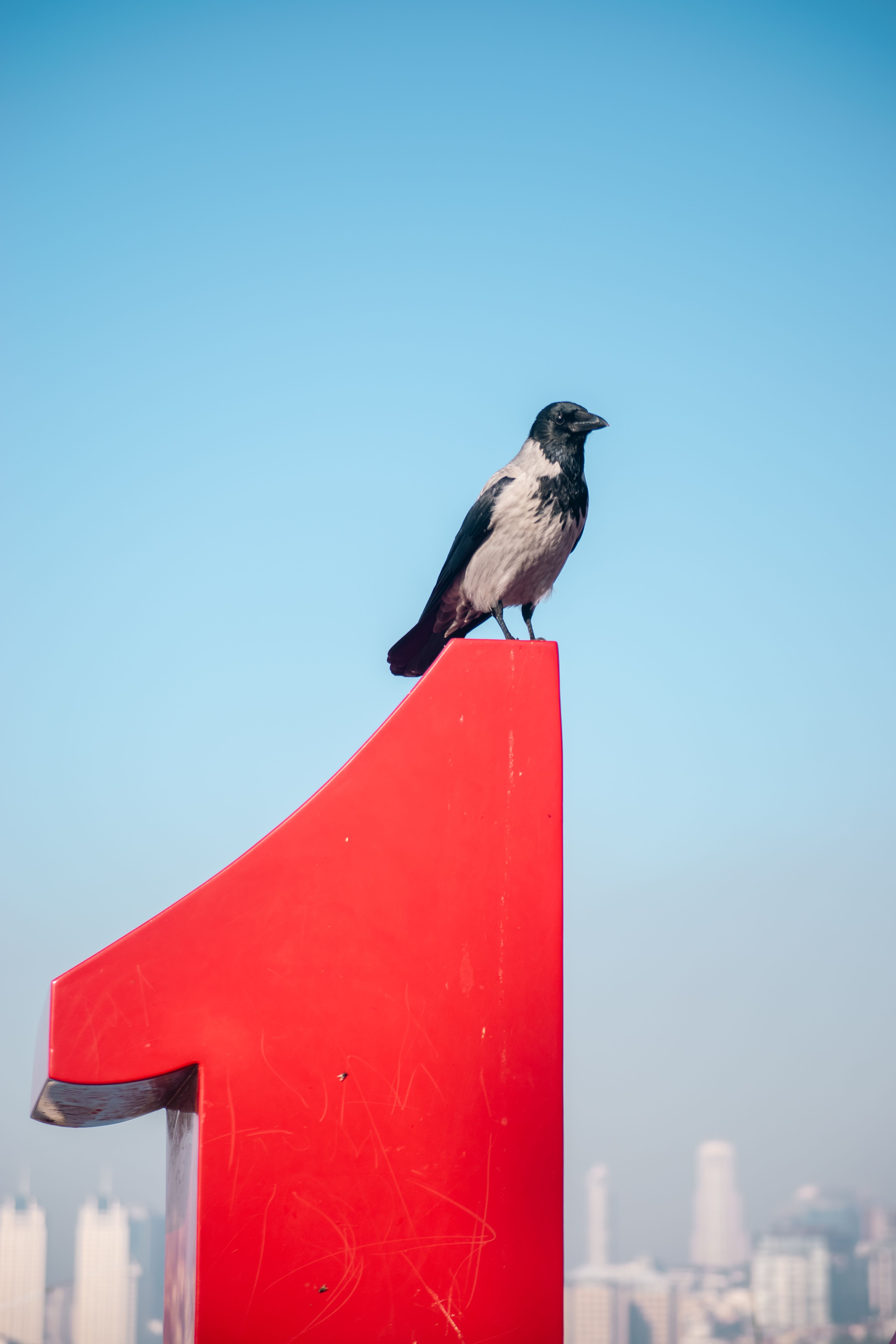 Photo Graraphy Photos, Download The BEST Free Photo Graraphy Stock ...