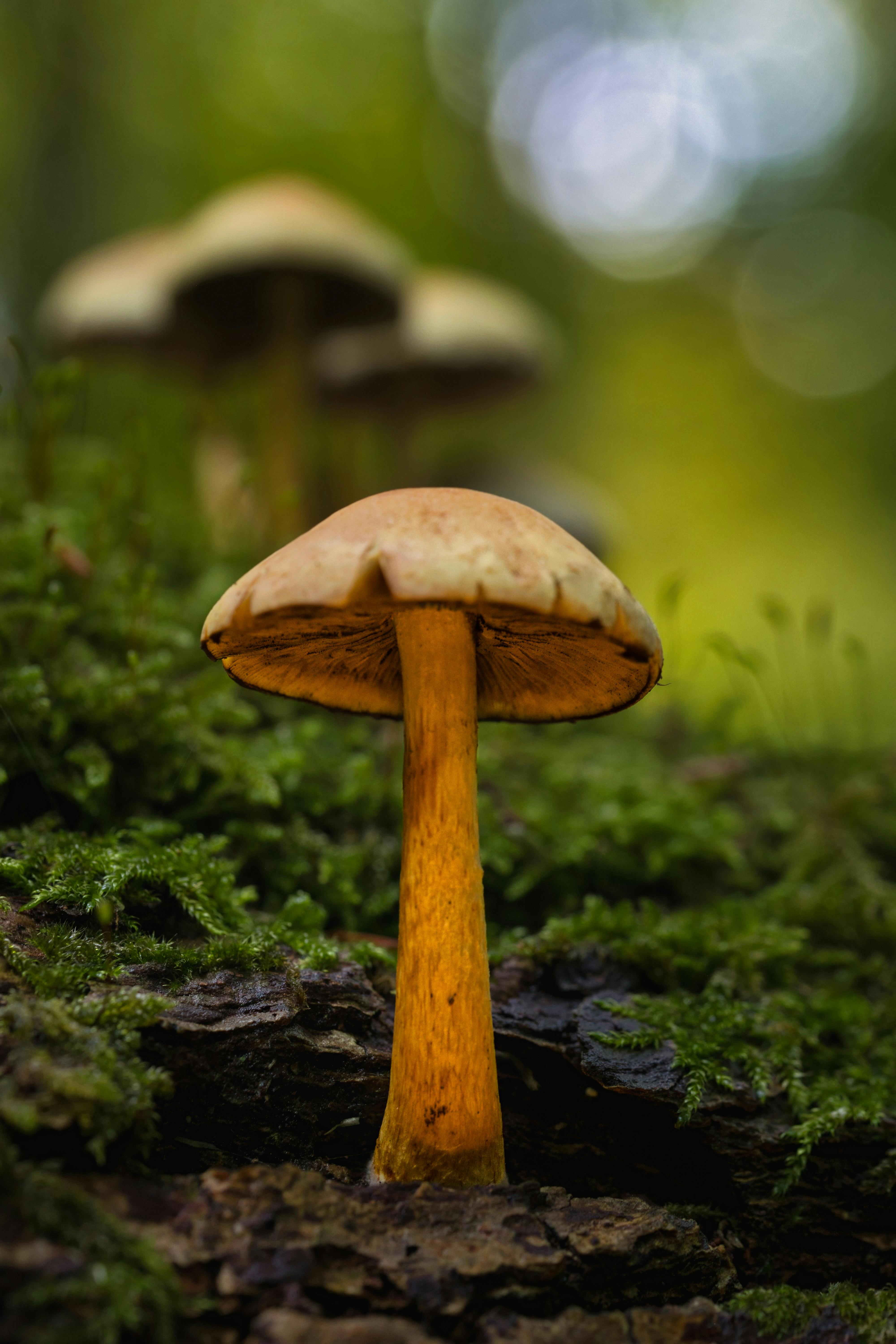 Frrr7+Y+R Photos, Download The BEST Free Frrr7+Y+R Stock Photos & HD Images