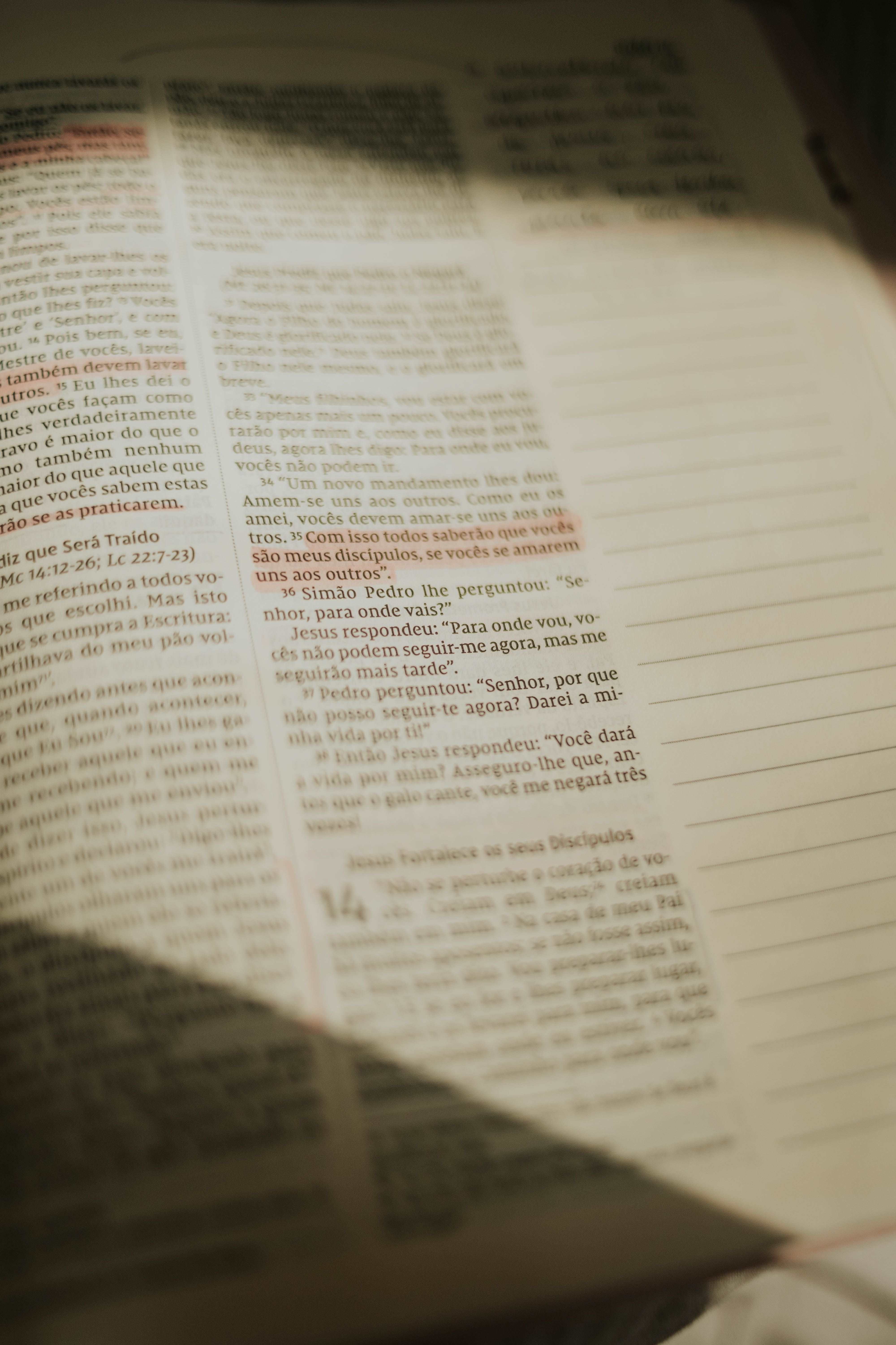 Open Bible with Highlighted Verses and Copyspace · Free Stock Photo
