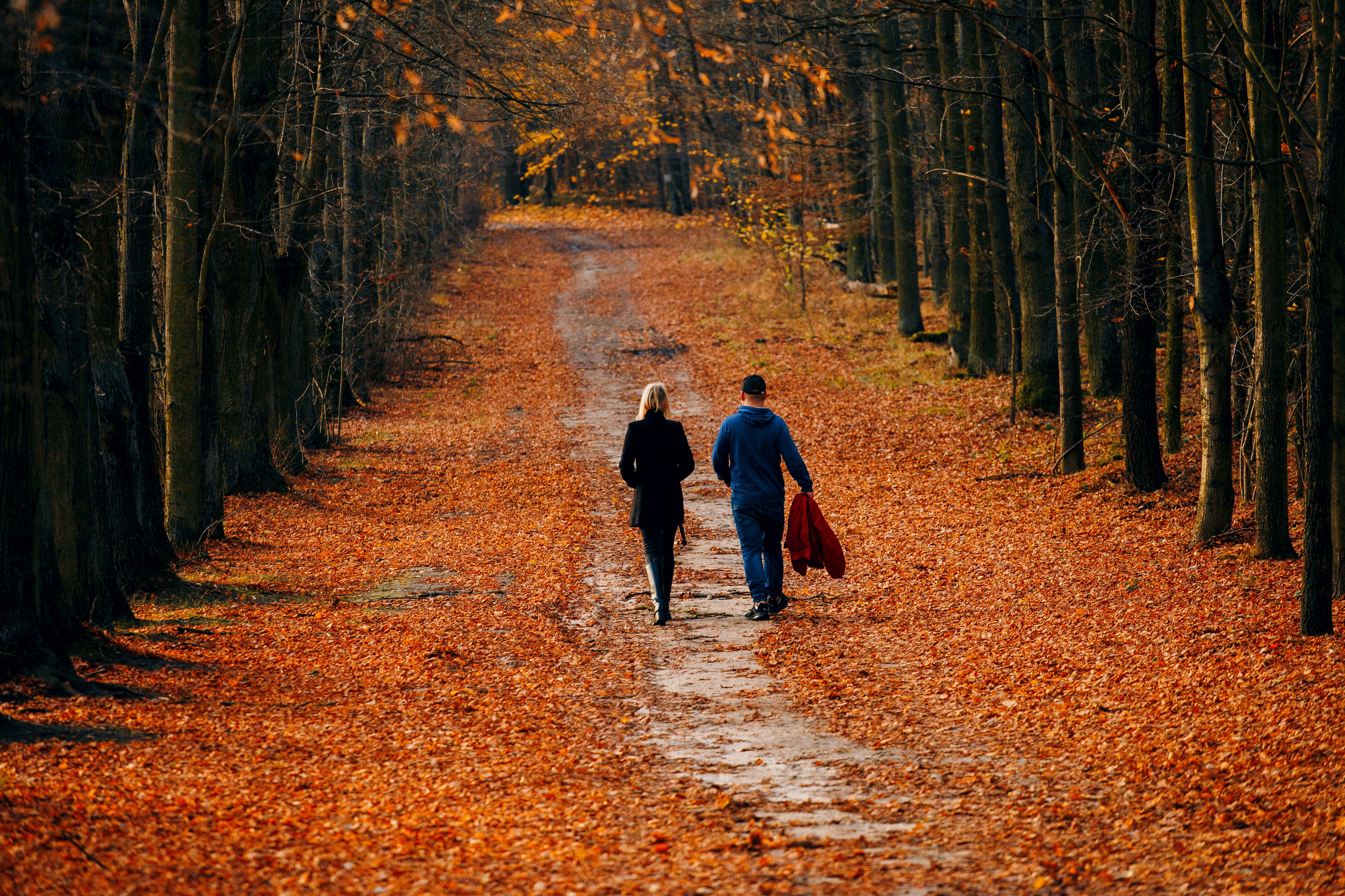 November Scenery Photos, Download The BEST Free November Scenery Stock ...