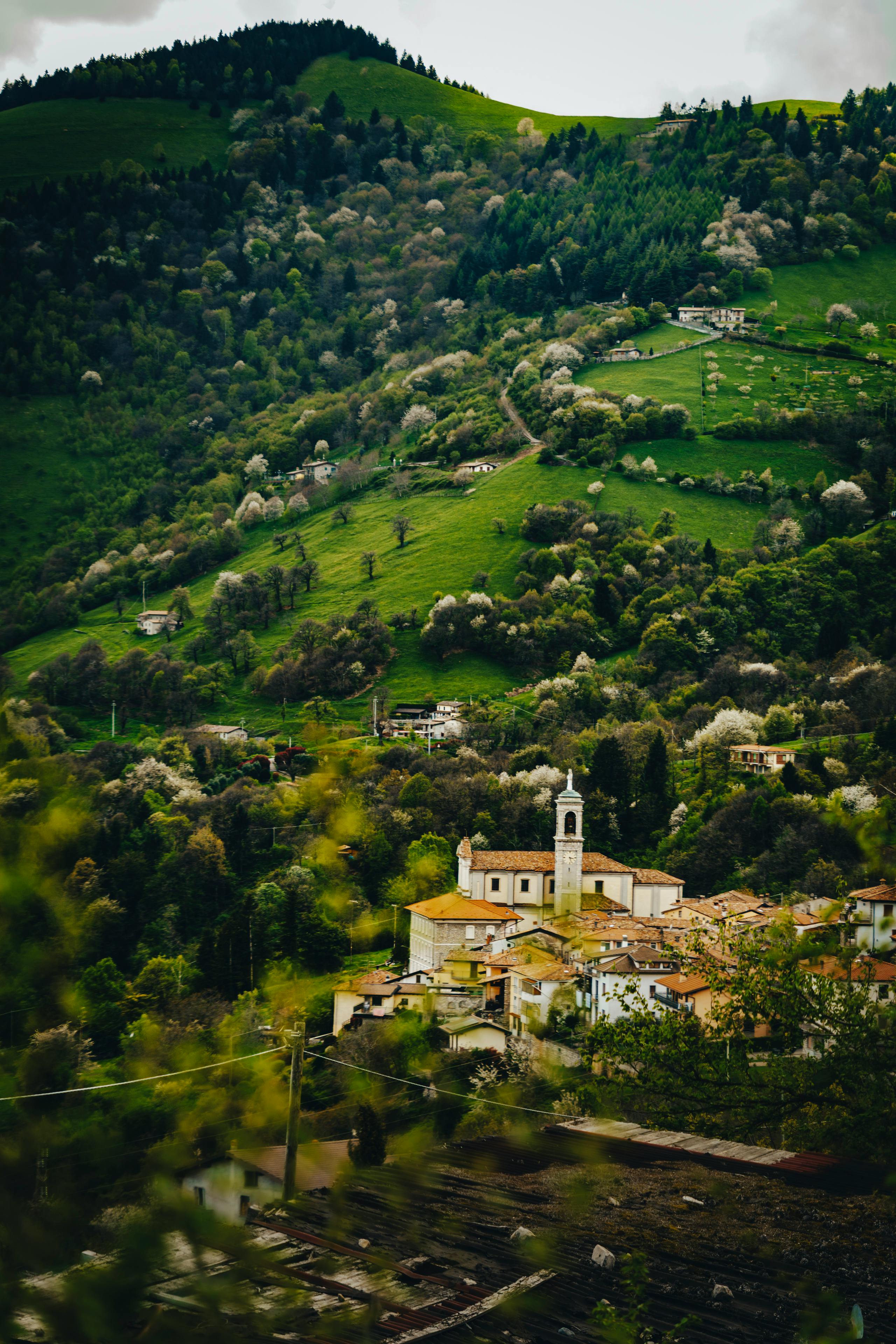 Mountian View Travel Agency Photos, Download The BEST Free Mountian ...