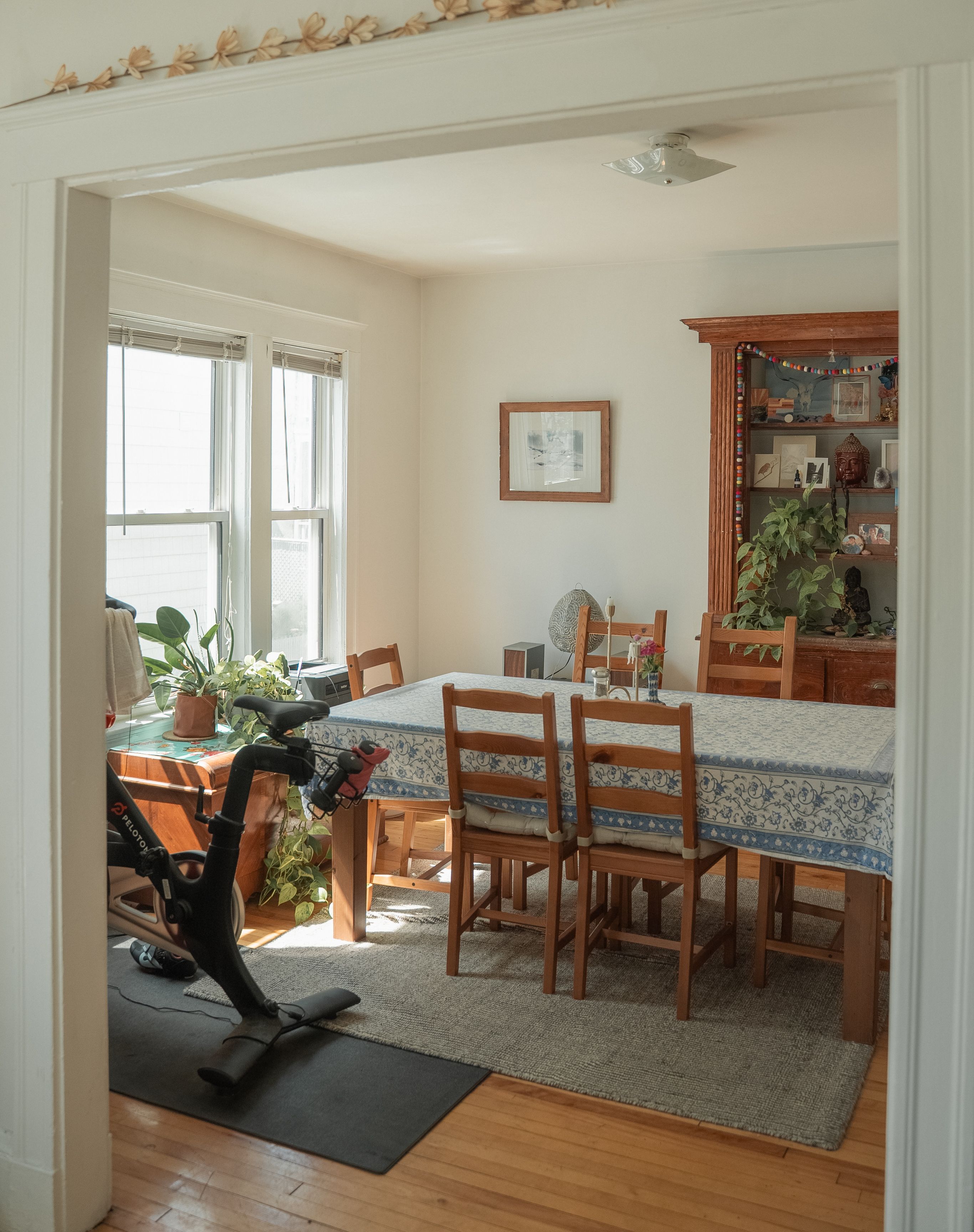 Cozy Sunlit Dining Room with Indoor Plants · Free Stock Photo