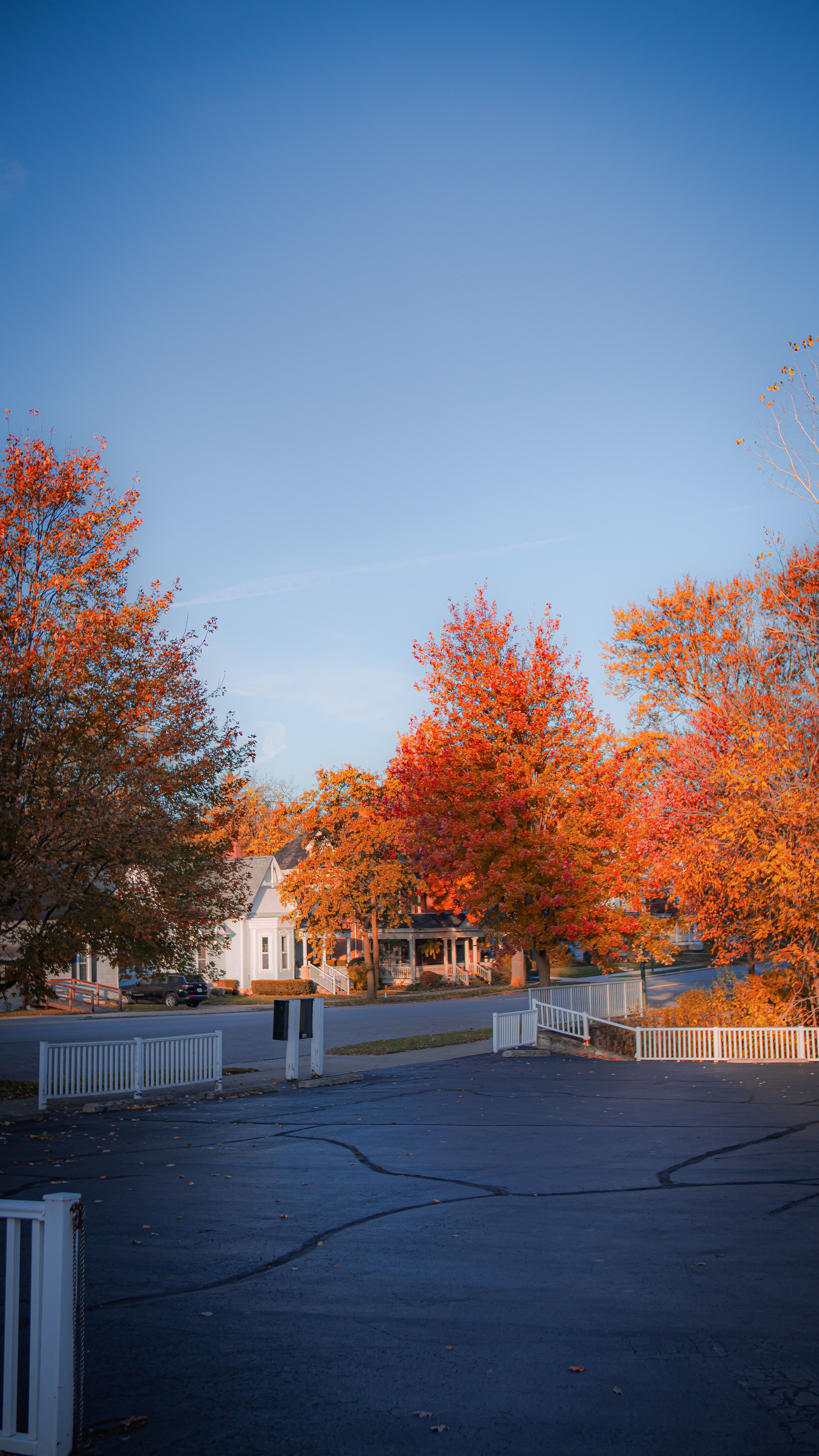 Charming Suburban Street with Vibrant Fall Foliage · Free Stock Photo