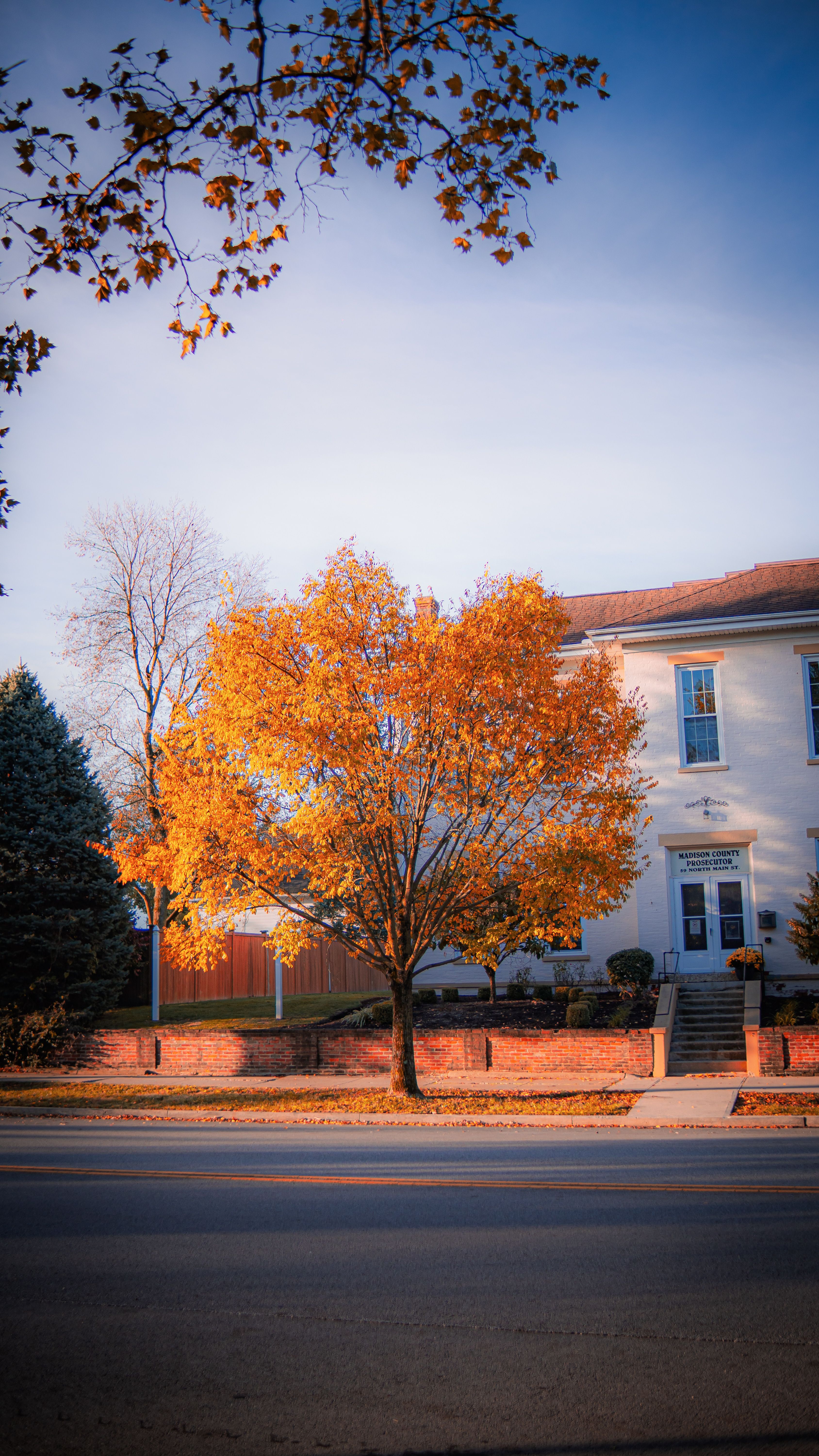 Autumn Scene with Vibrant Orange Tree and Building · Free Stock Photo