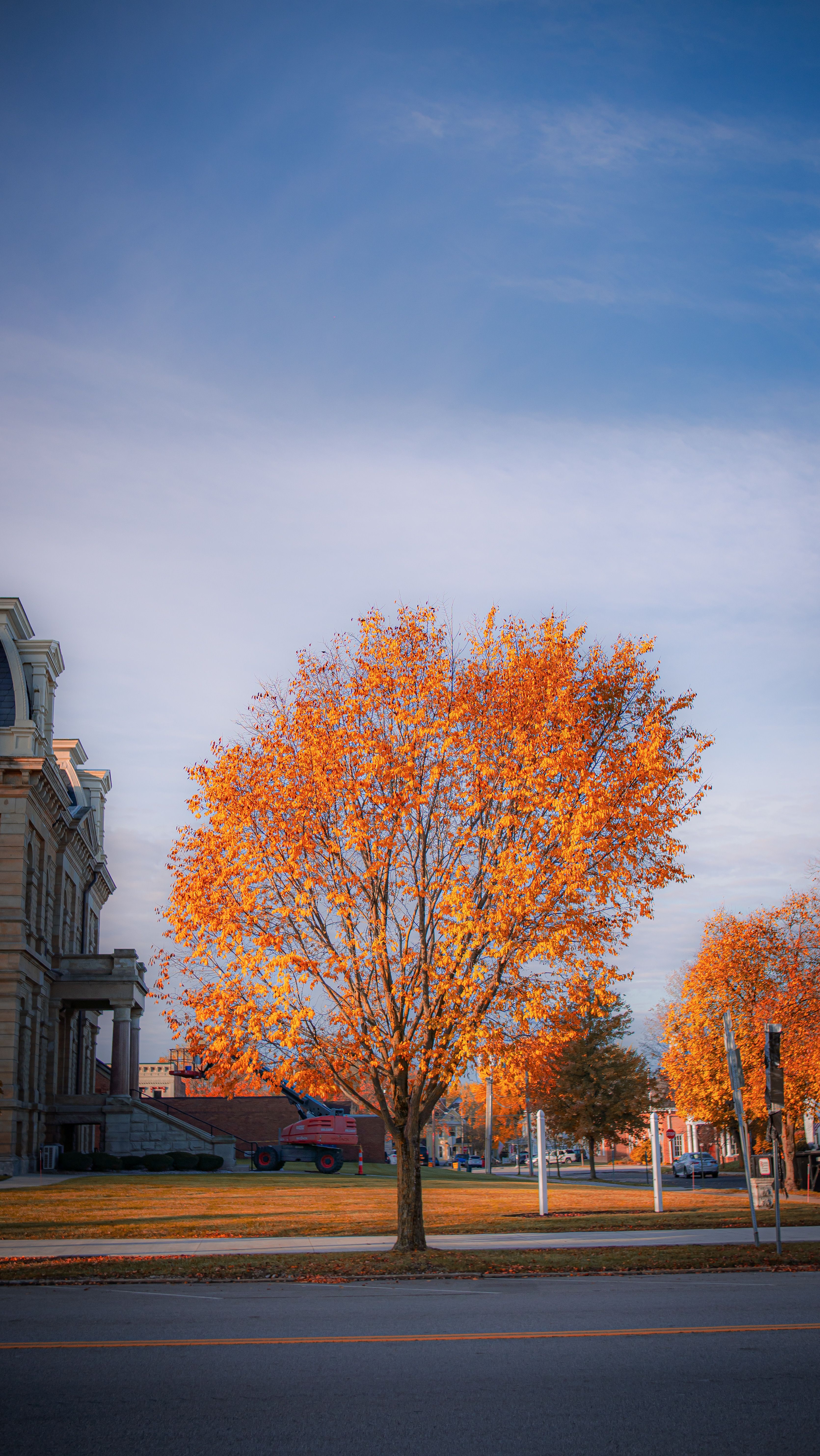 Autumn Scene with Orange Tree and Historic Building · Free Stock Photo