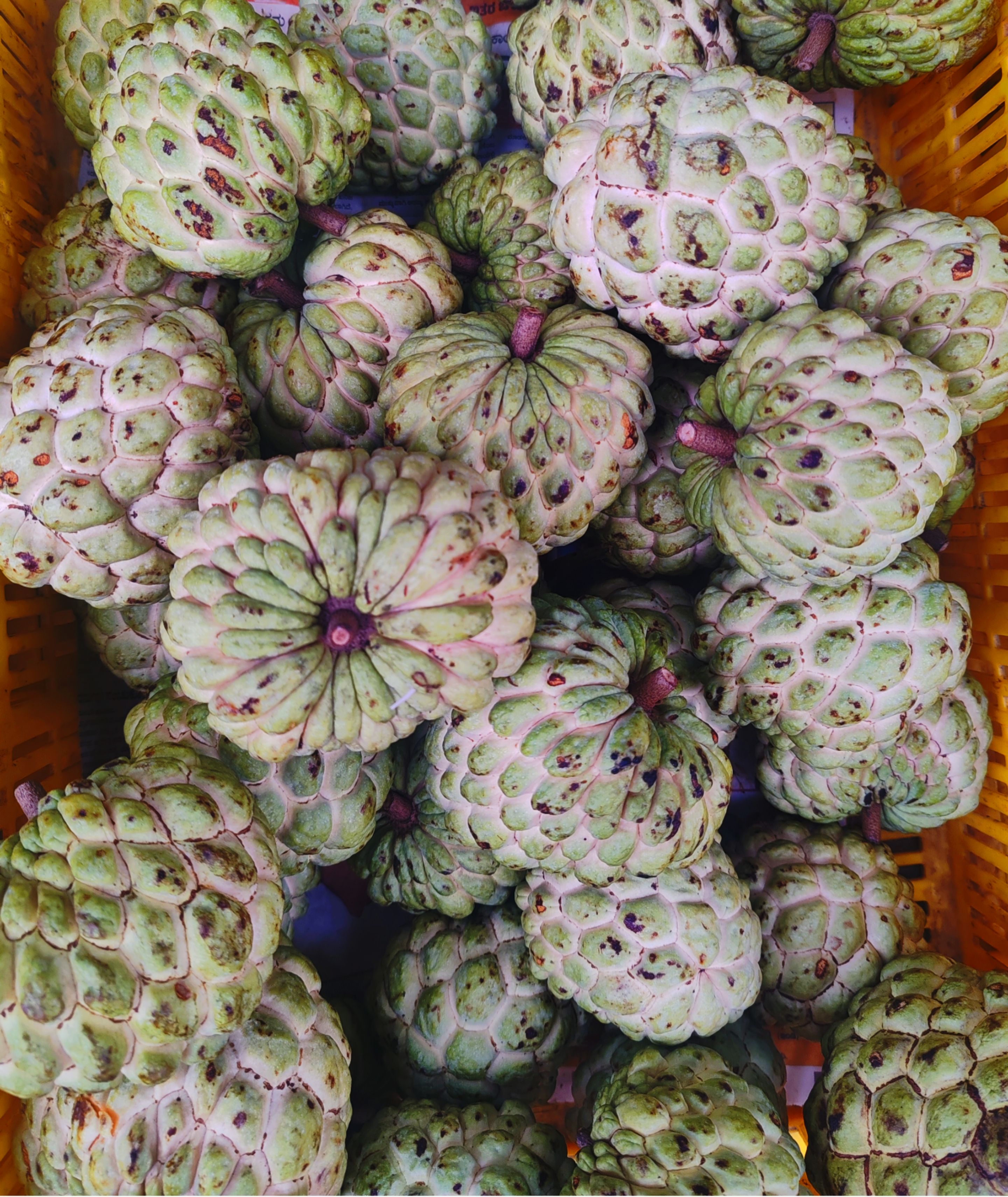Fresh Custard Apples in Market Basket View · Free Stock Photo