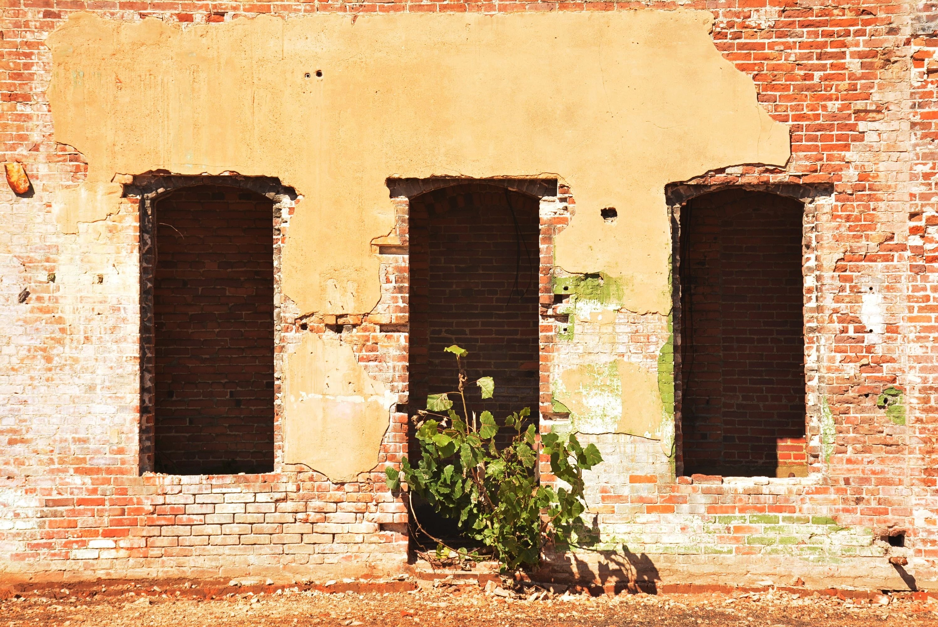 Office Wall Crumbling Down Photos, Download The BEST Free Office Wall ...