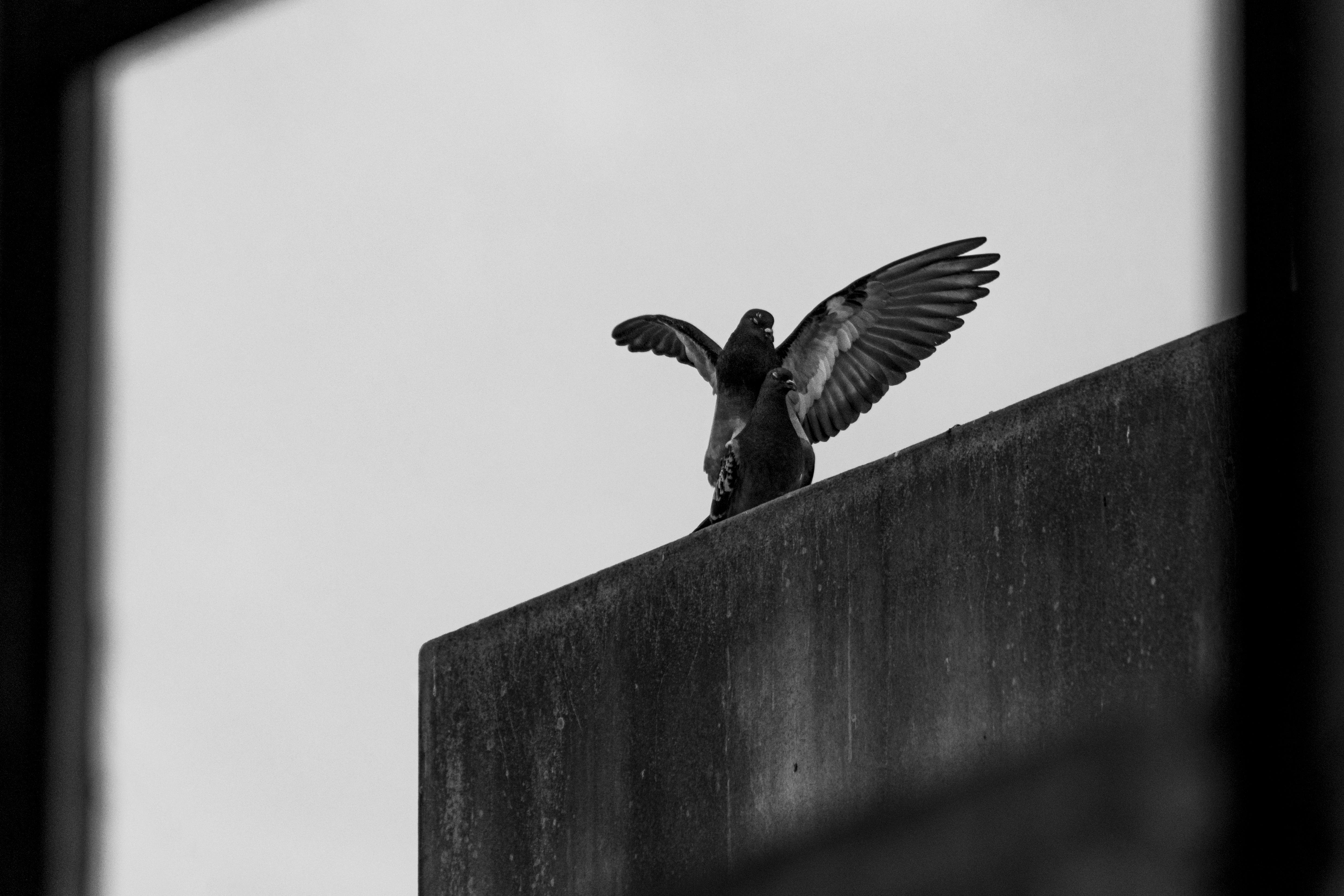 655.476+ Fotos y Imágenes de Cleavage closeup Gratis · Banco de Fotos ...