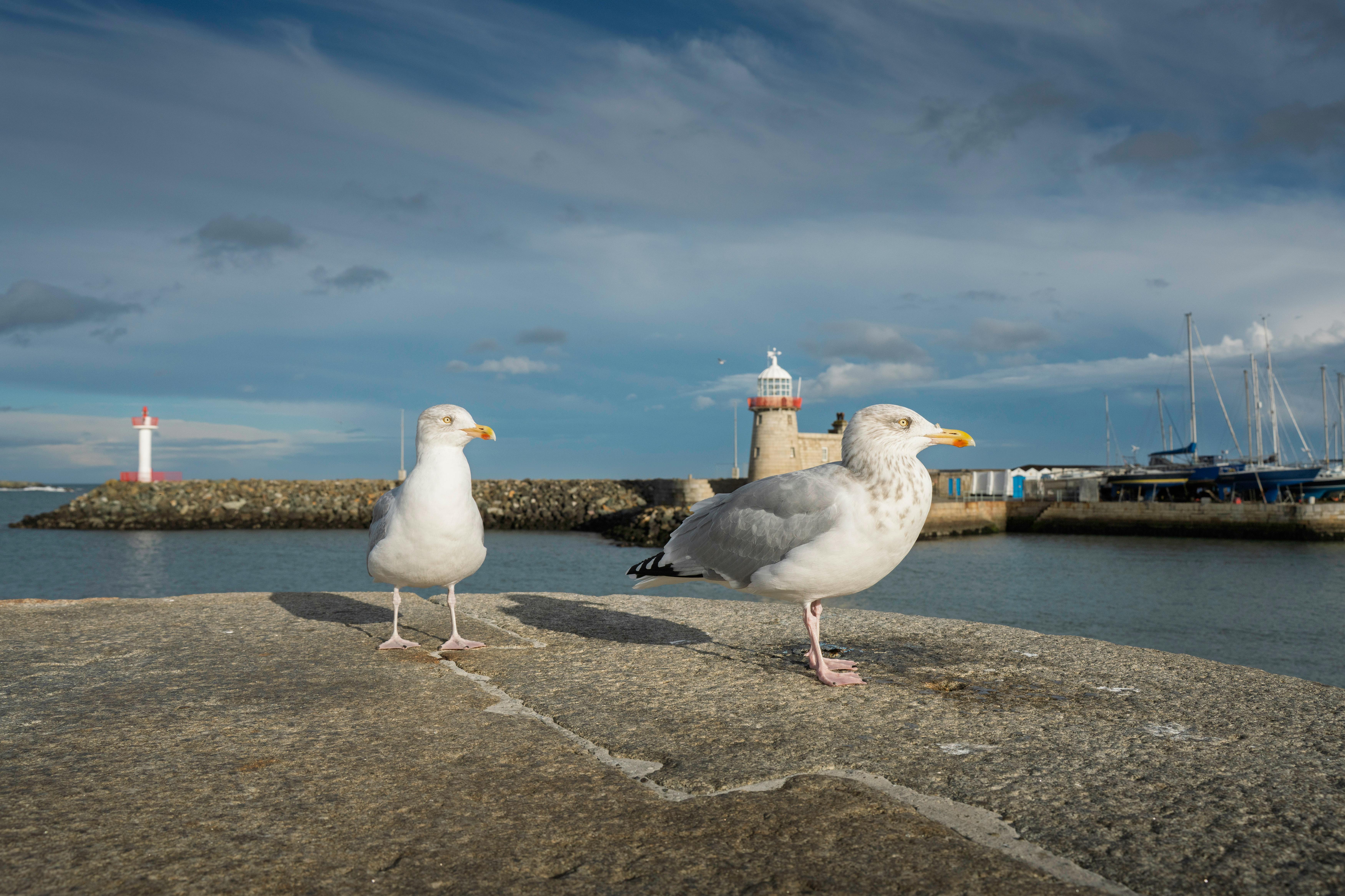 Bing+Wallpaper+On+Lockscreen Photos, Download The BEST Free Bing ...