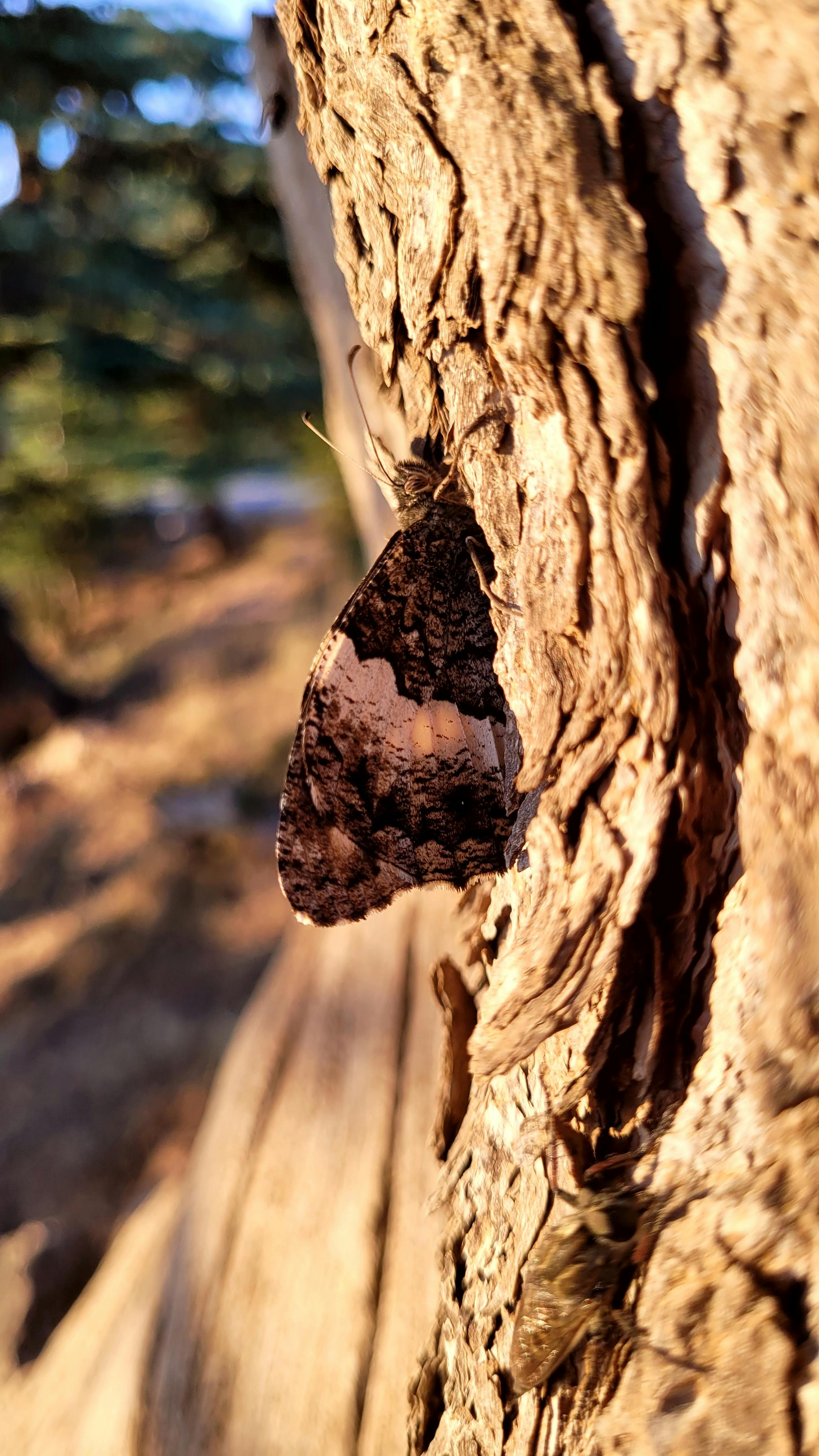 Yucef HB - Photography