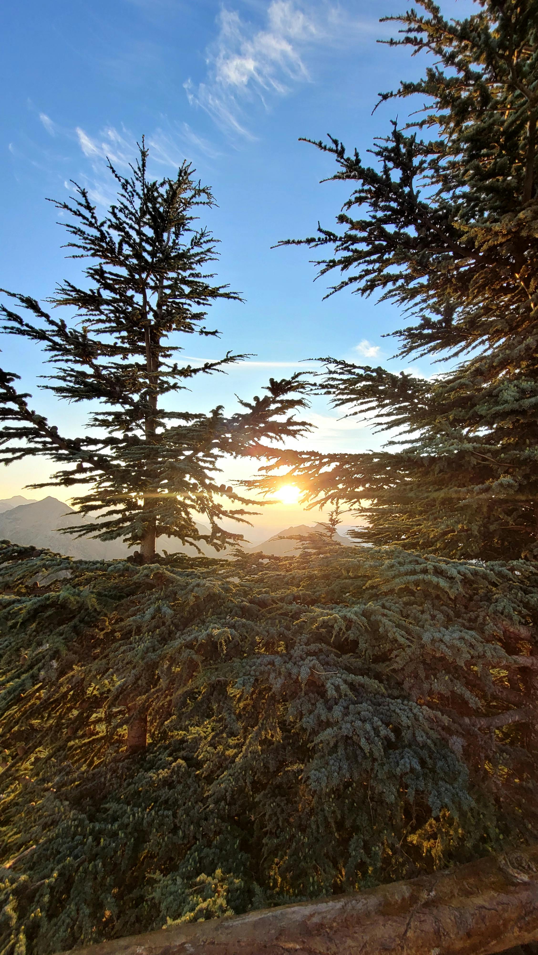 Yucef HB - Photography