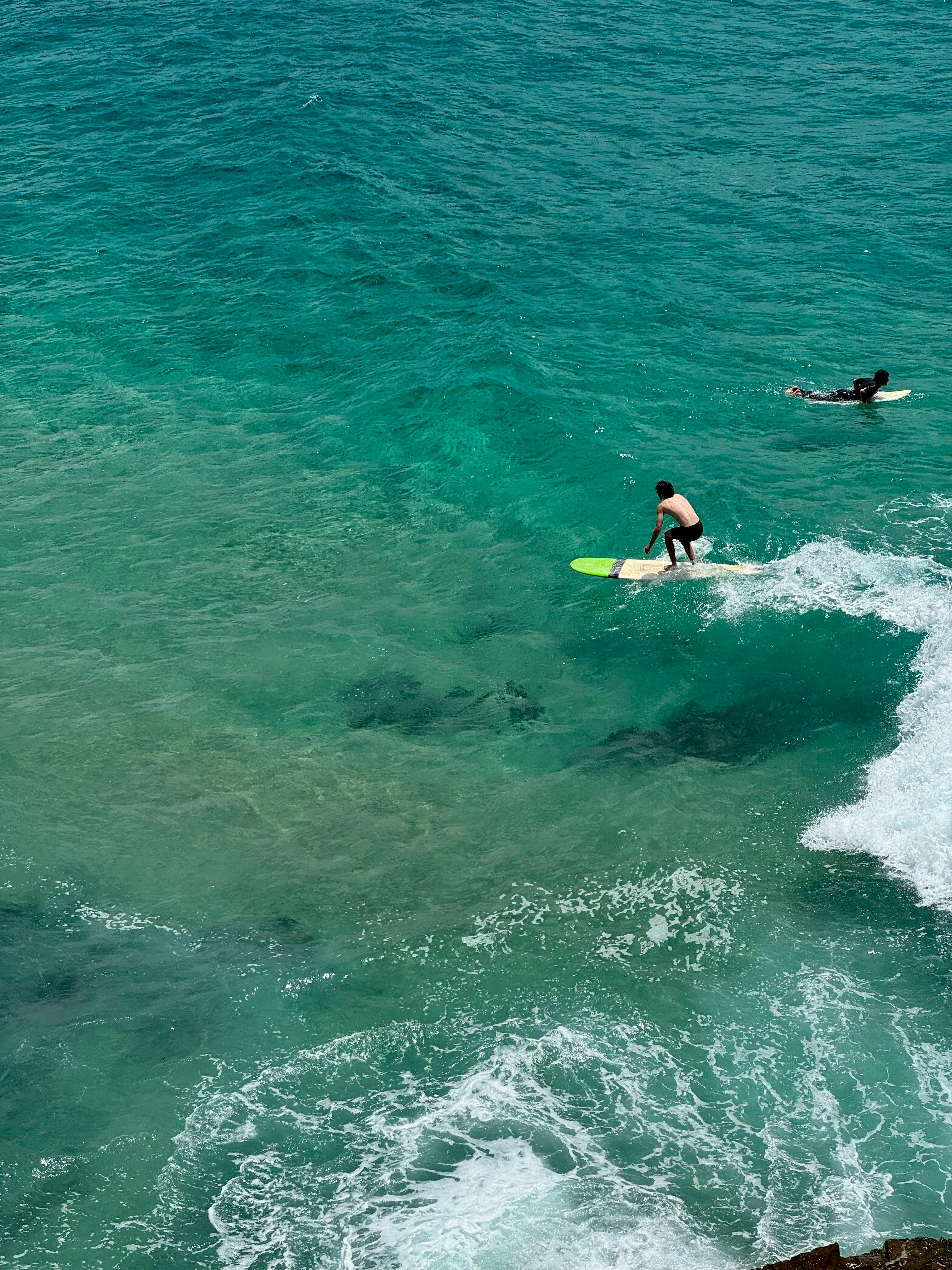 Free+Tuff+Pfp Photos, Download The BEST Free Free+Tuff+Pfp Stock Photos ...